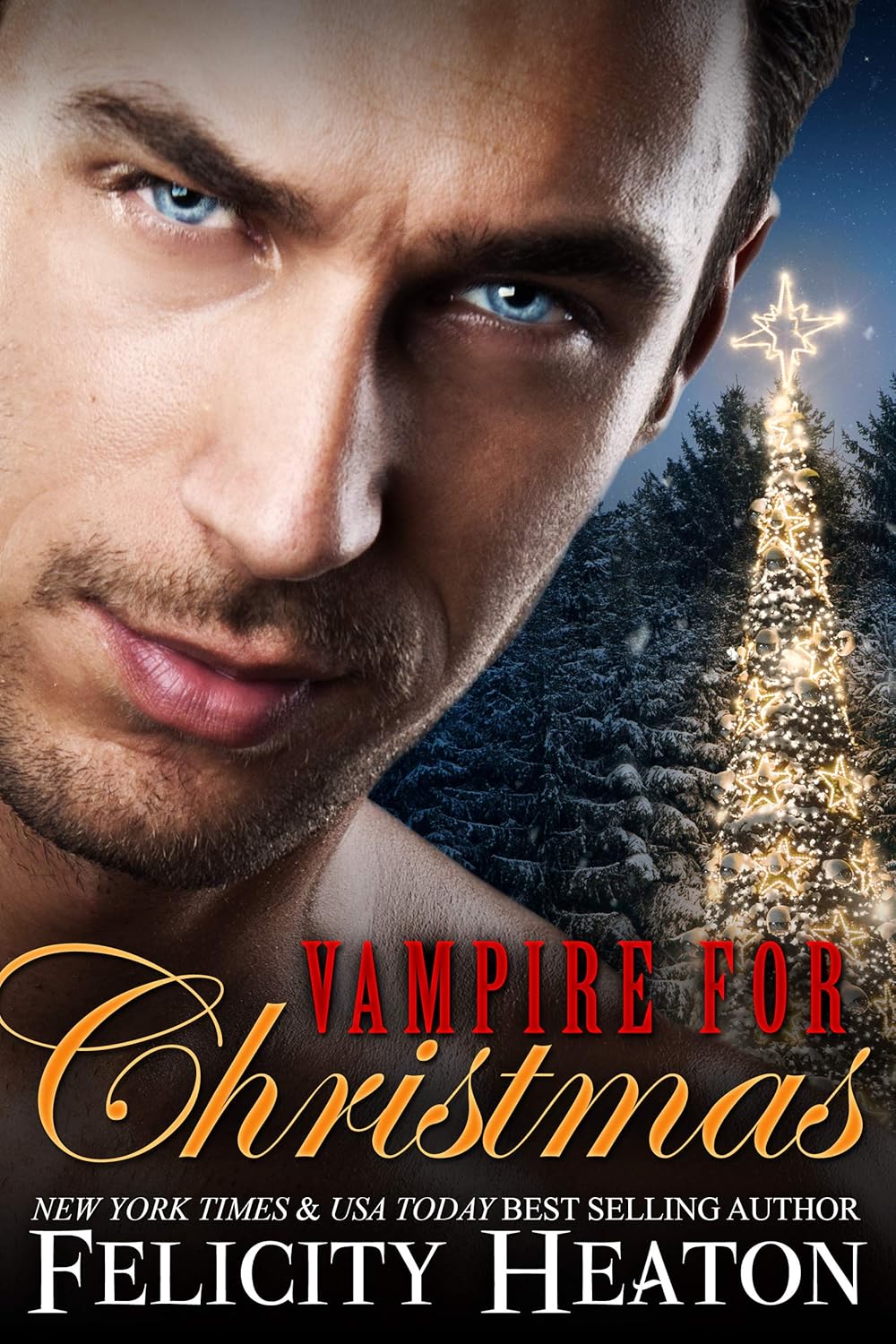 Vampire for Christmas: A Holiday Vampire Paranormal Romance - Kindle ...
