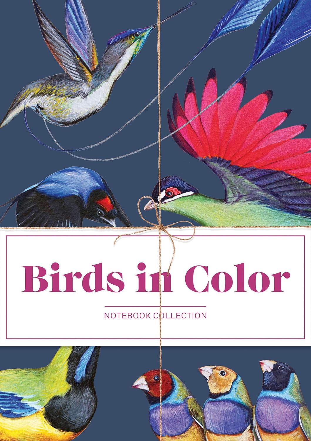 Amazon.com : Birds in Color Notebook Collection : Office Products