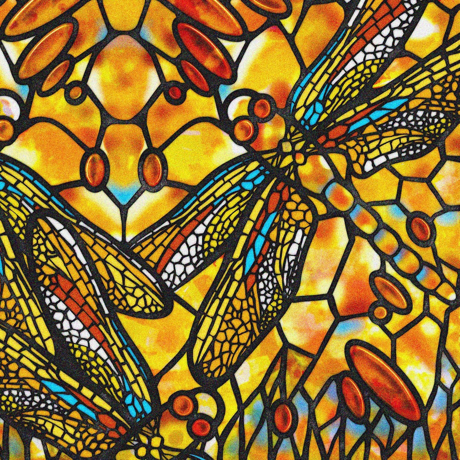 Amazon.com: funlife Original Hand Drawn Double-Sided Privacy Dragonfly ...