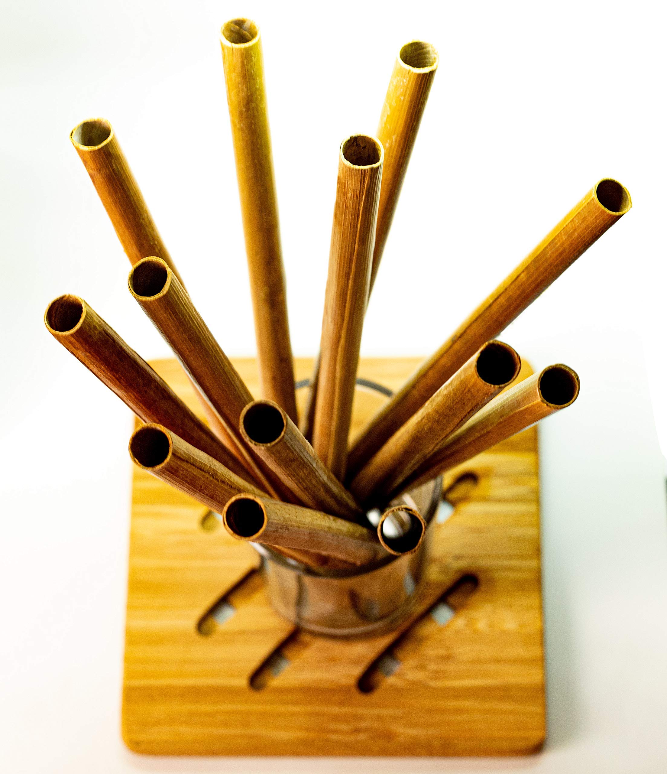 Sunbird Regular Straws, Coconut Leaf Drinking, Organic, Biodegradable ...