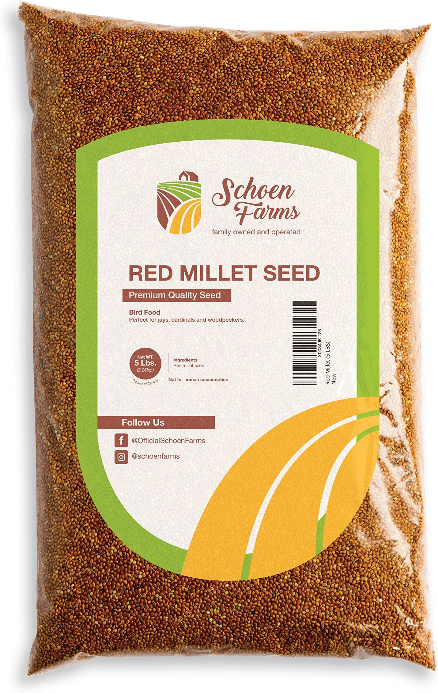 Amazon.com: Red Millet (5 LBS) for Birds Cardinals, Chickadees ...
