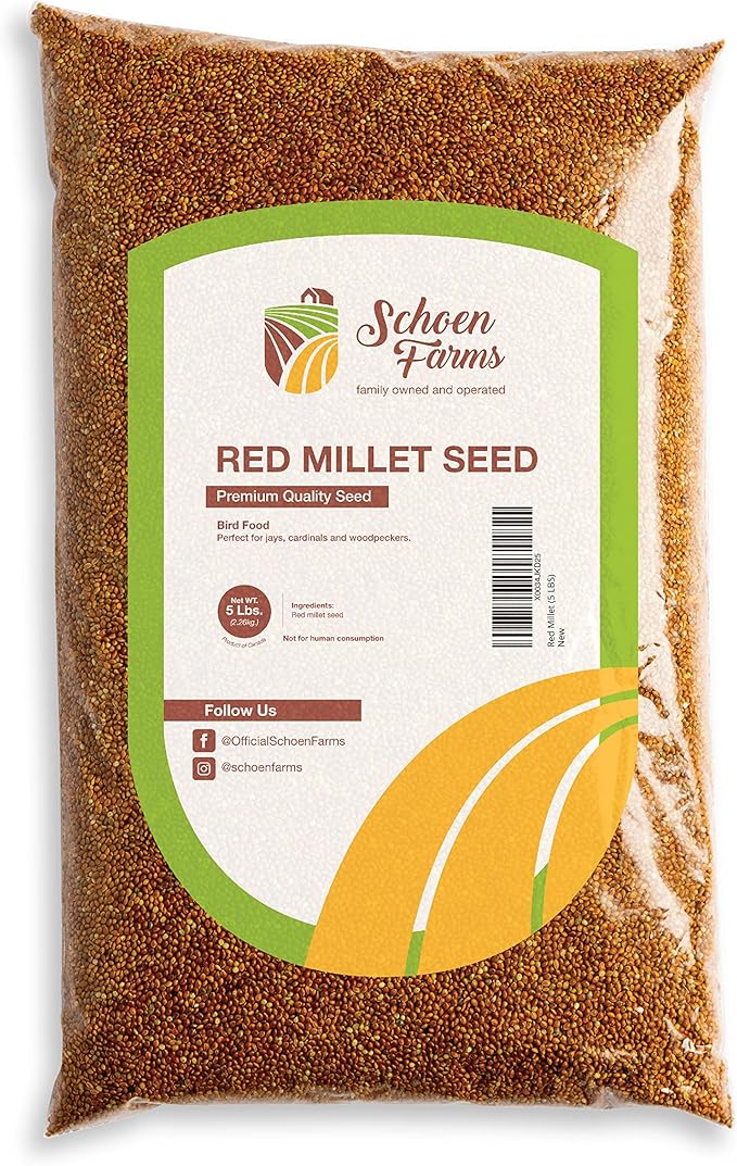 Amazon.com: Red Millet (5 LBS) for Birds Cardinals, Chickadees ...
