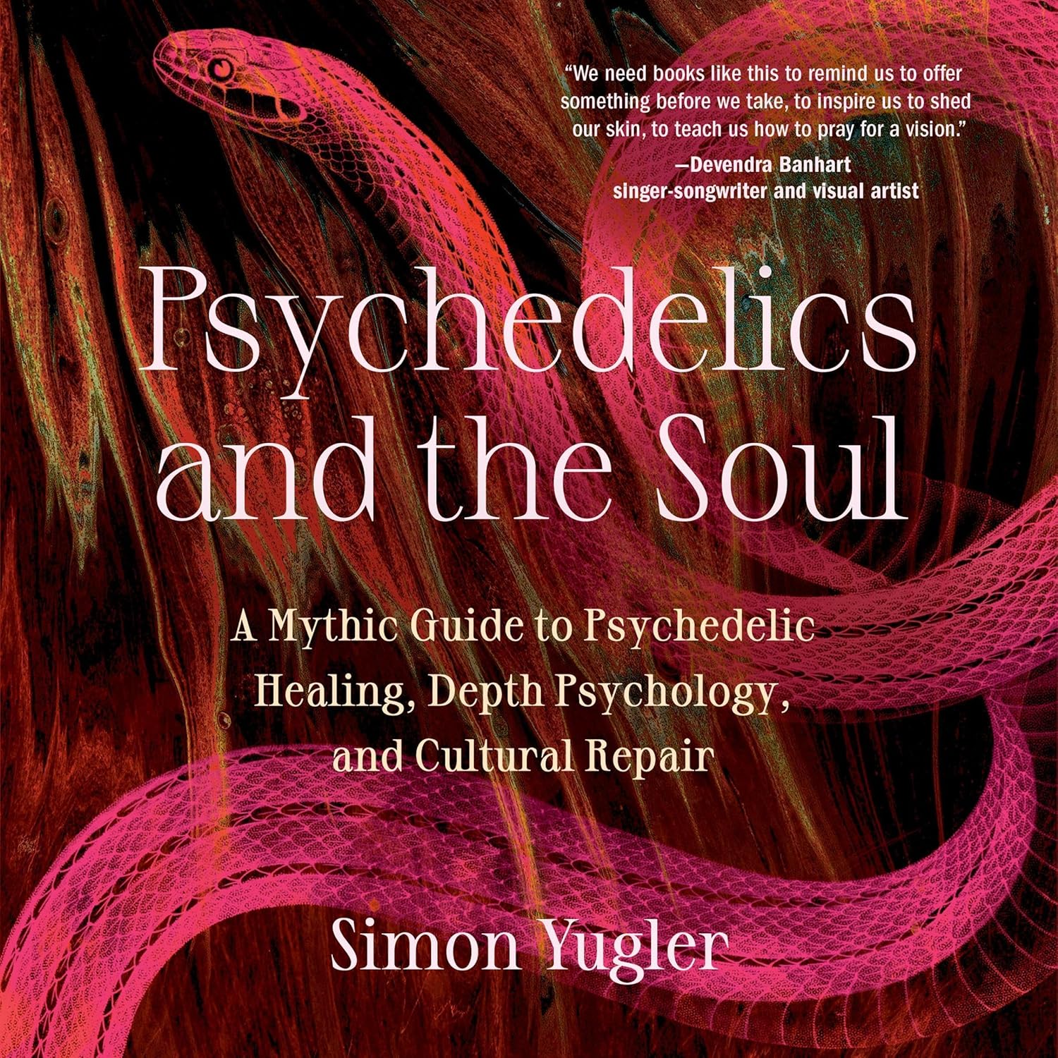 Amazon.com: Psychedelics and the Soul: A Mythic Guide to Psychedelic ...