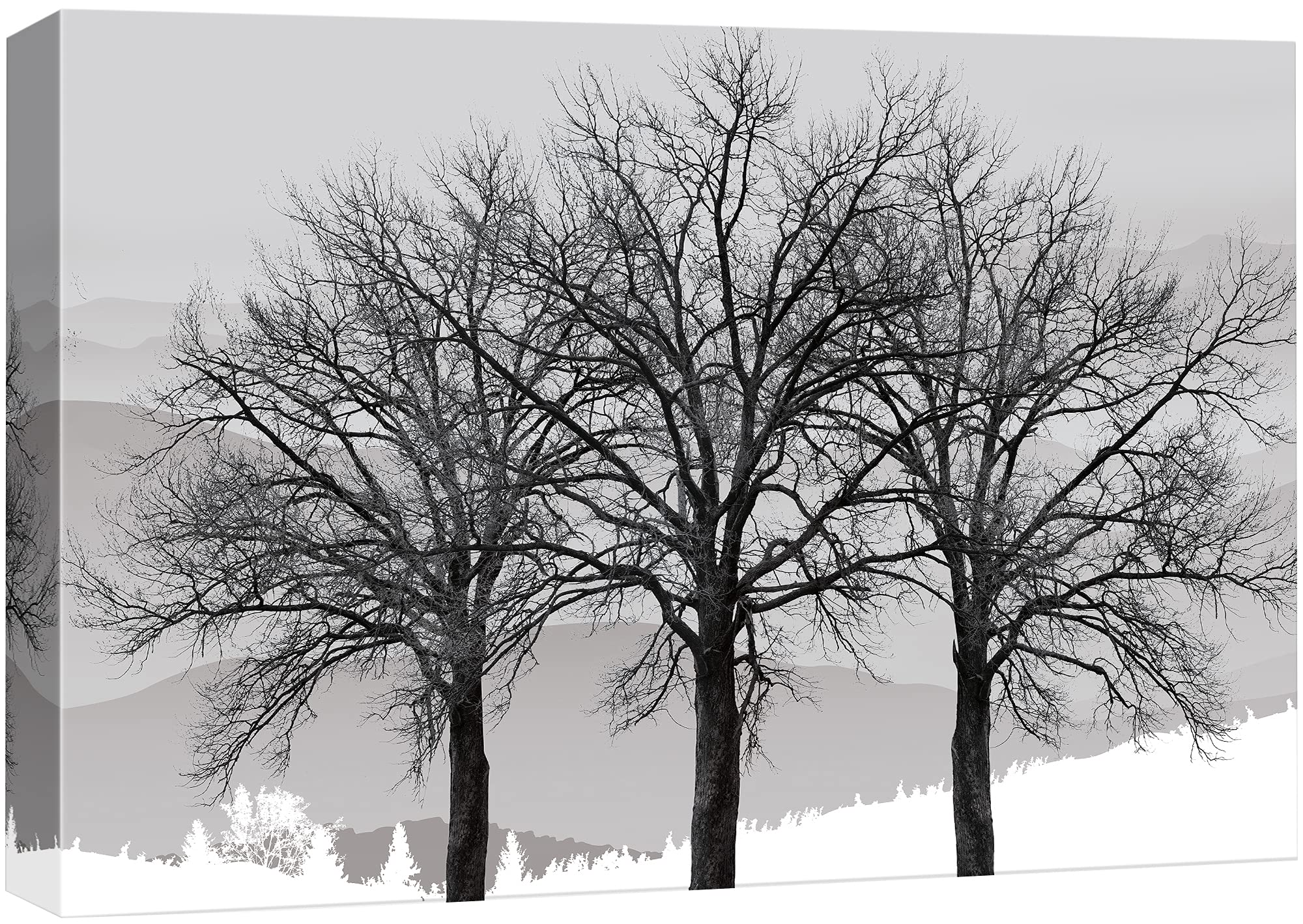 White Winter Tree Silhouette