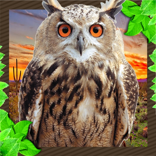 Owl Family Simulator 3D - App on Amazon Appstore