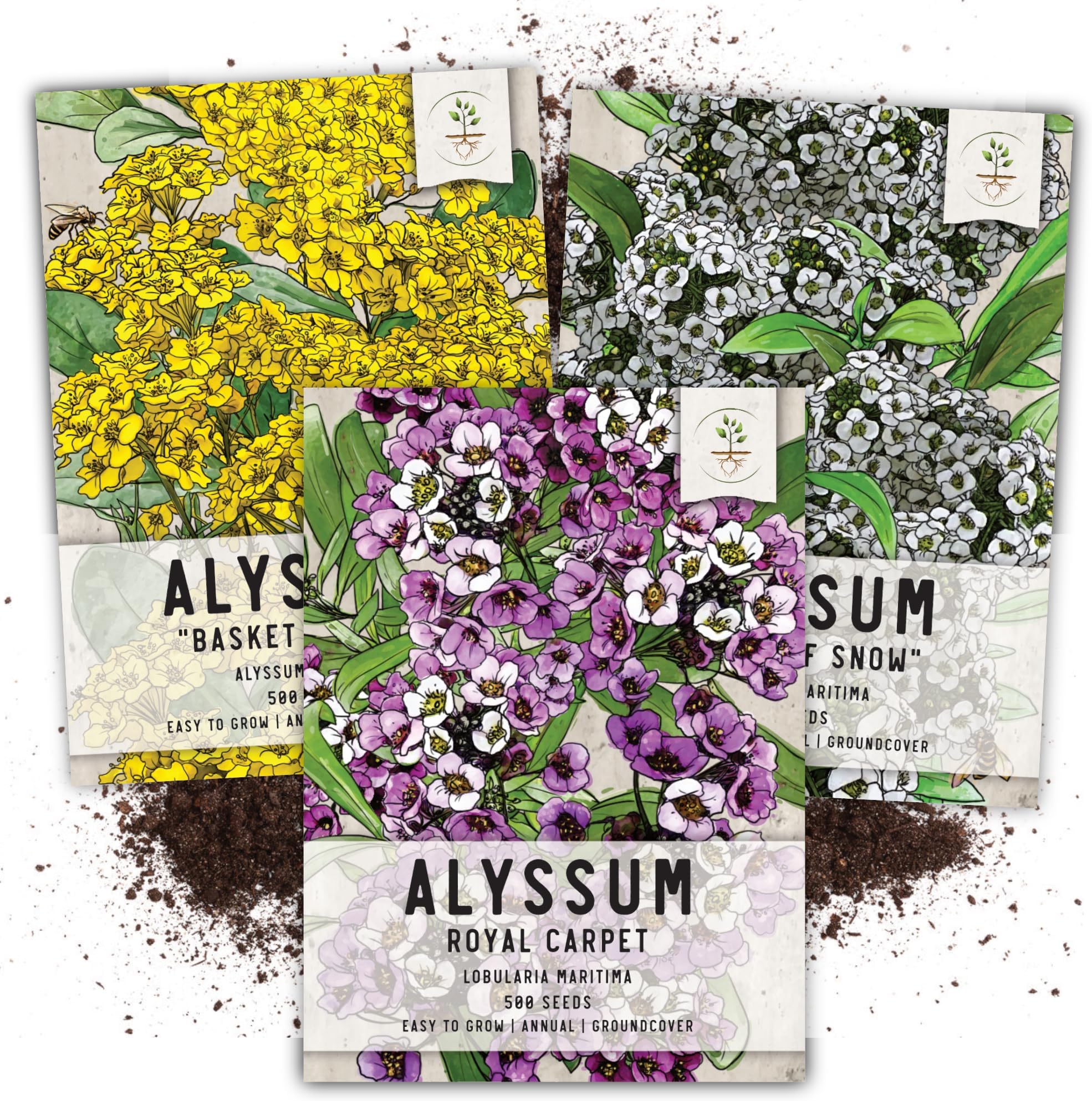 Amazon.com : Sweet Alyssum Seeds - Carpet of Snow, Bulk Pack of 50,000 ...