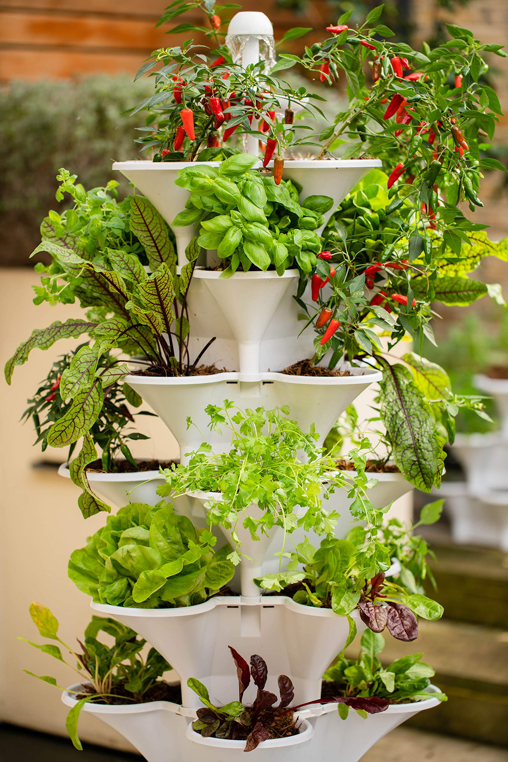 Aqua Hydroponic Gardening Acqua Garden Self Watering Vertical