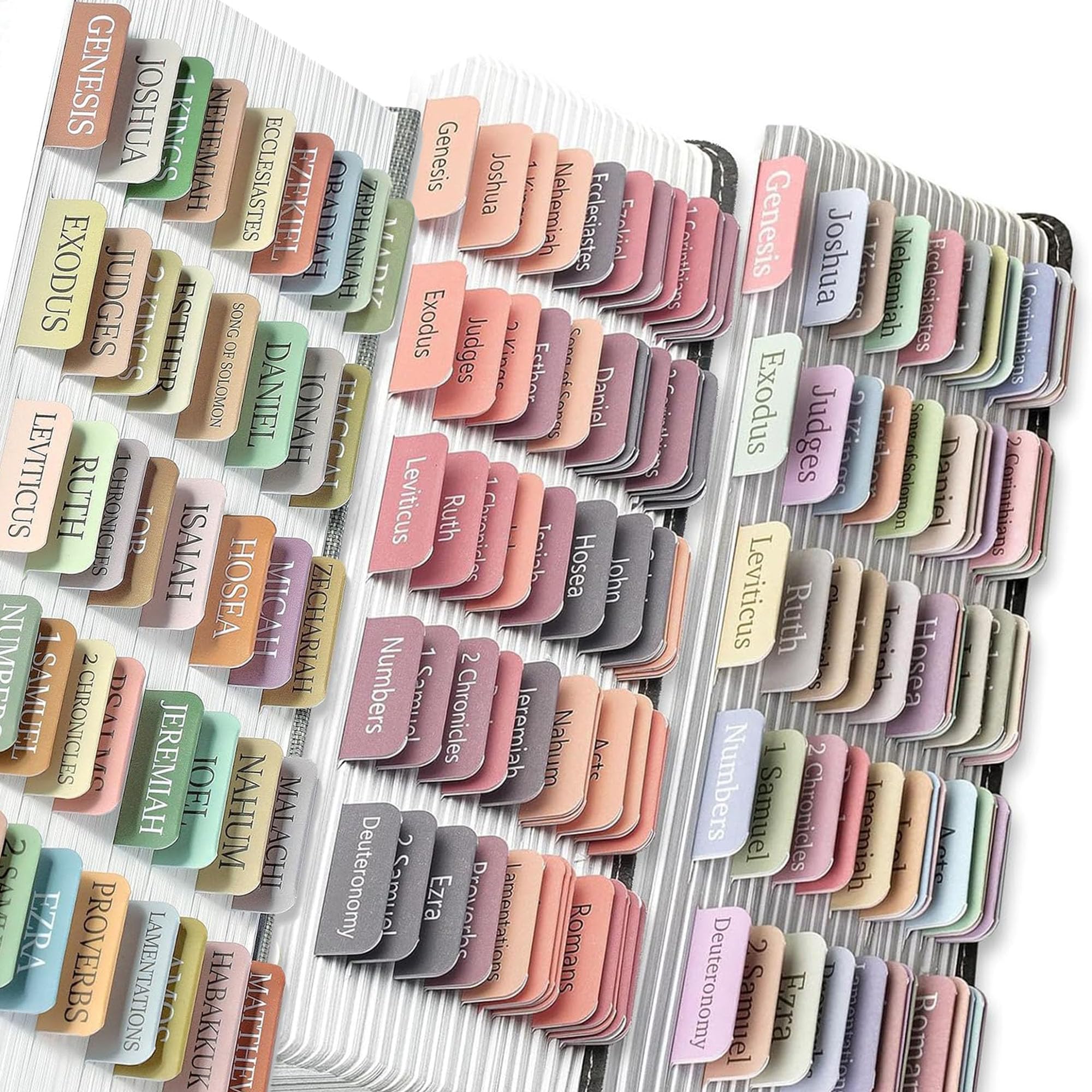 225PCS Bible Tabs, Laminated Tabs for Study Bible, Bible Book ...