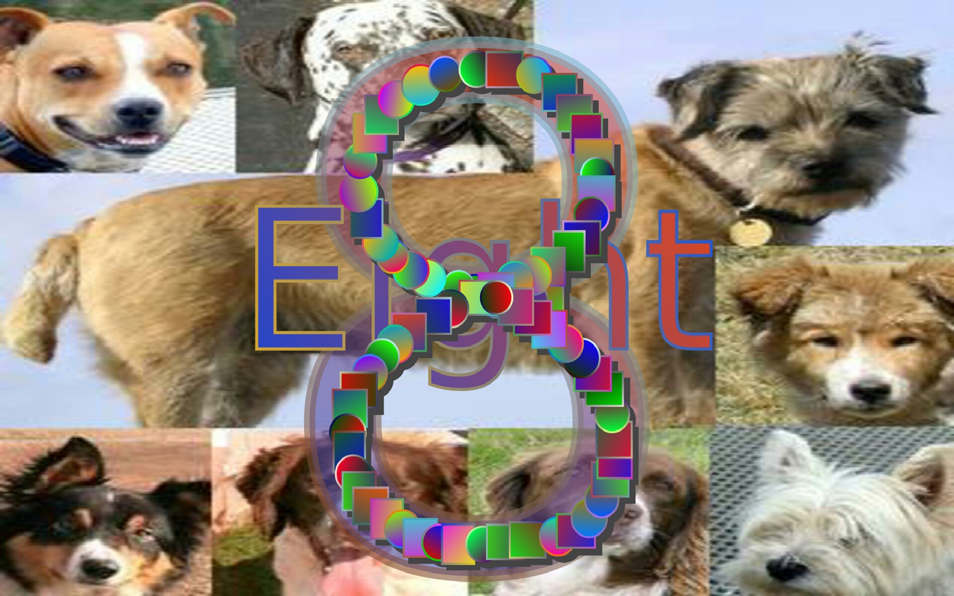 Count Dogs - App on Amazon Appstore