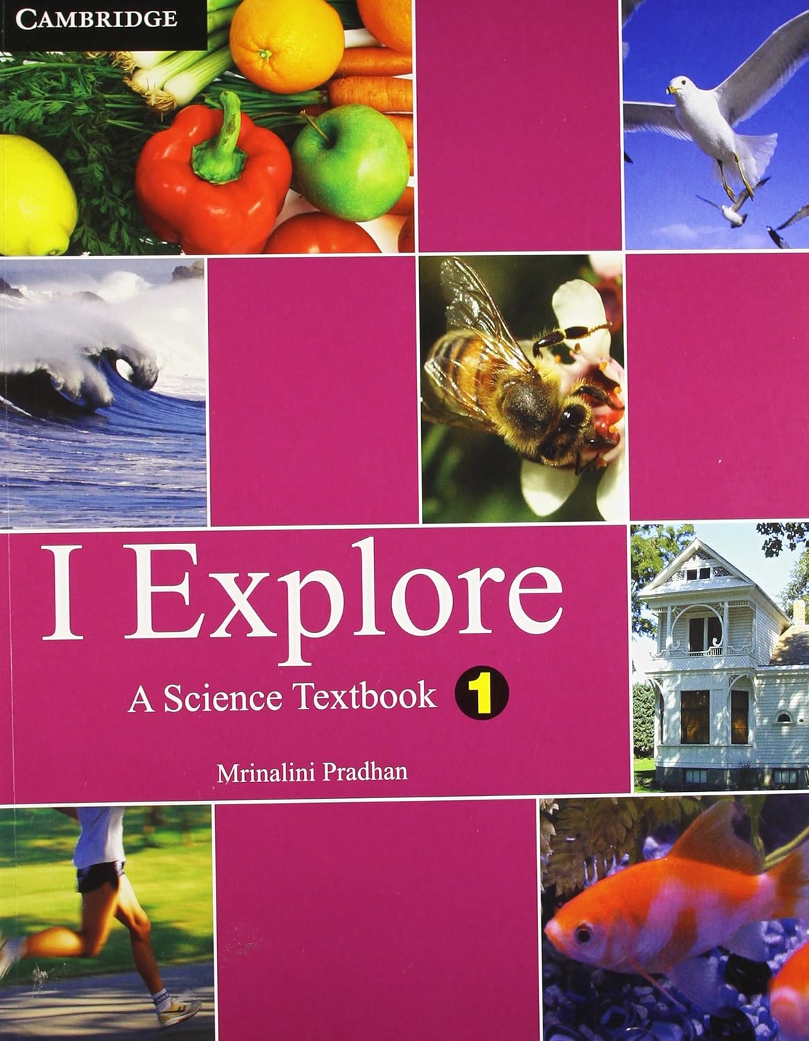 Amazon.com: I Explore Primary: A Science Textbook for Class 1: ...
