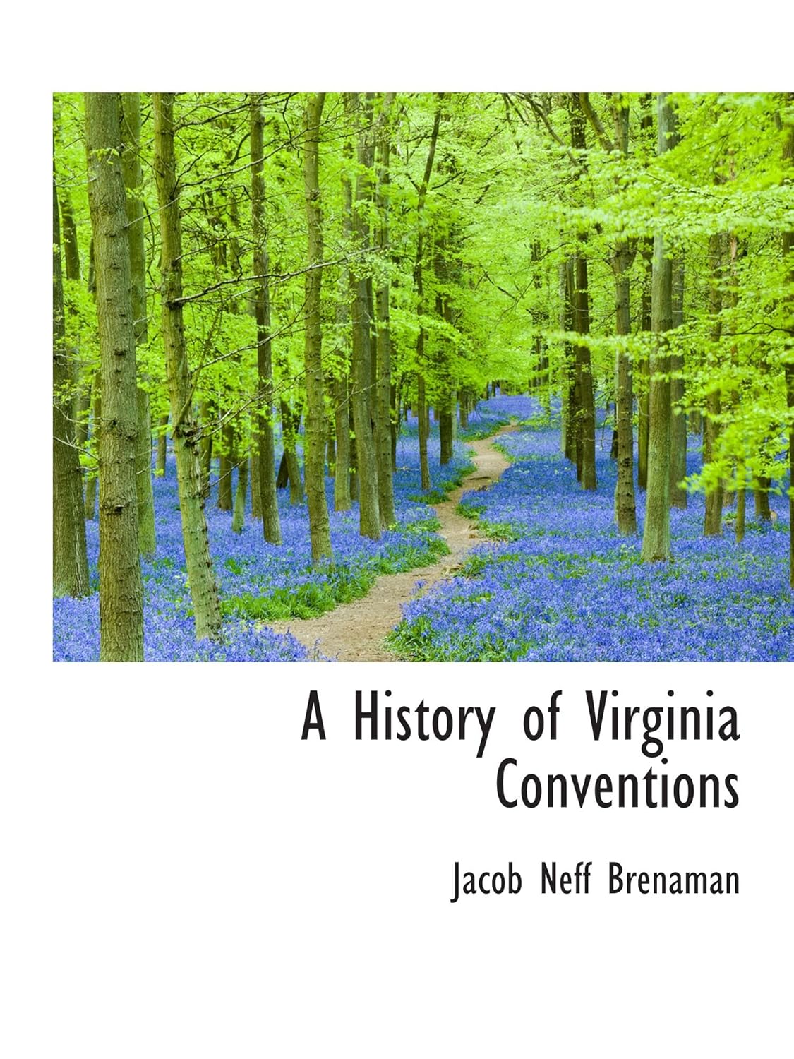 Amazon.com: A History of Virginia Conventions: 9781110072491: Brenaman ...