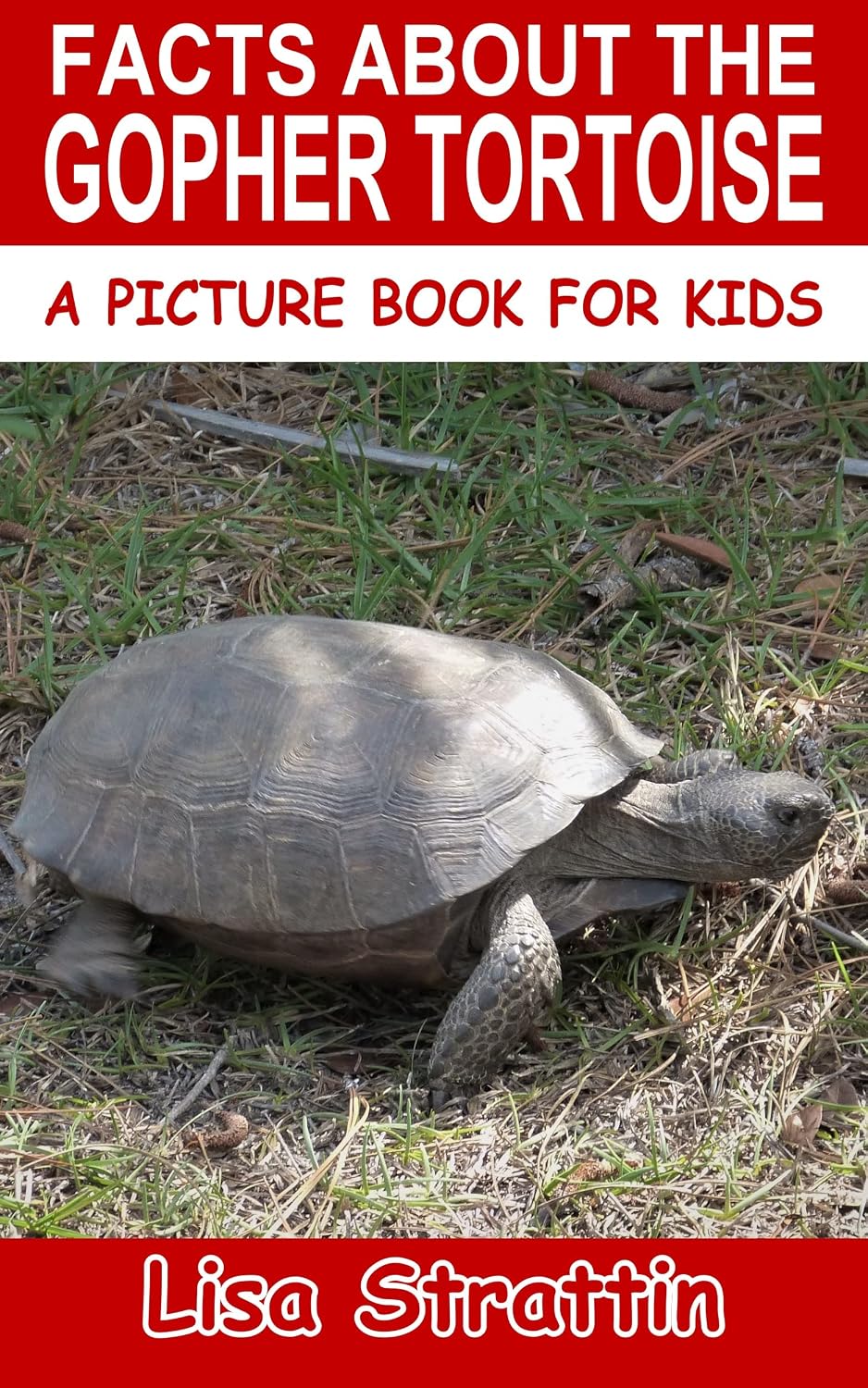 Facts About the Gopher Tortoise (A Picture Book For Kids 488) - Kindle ...