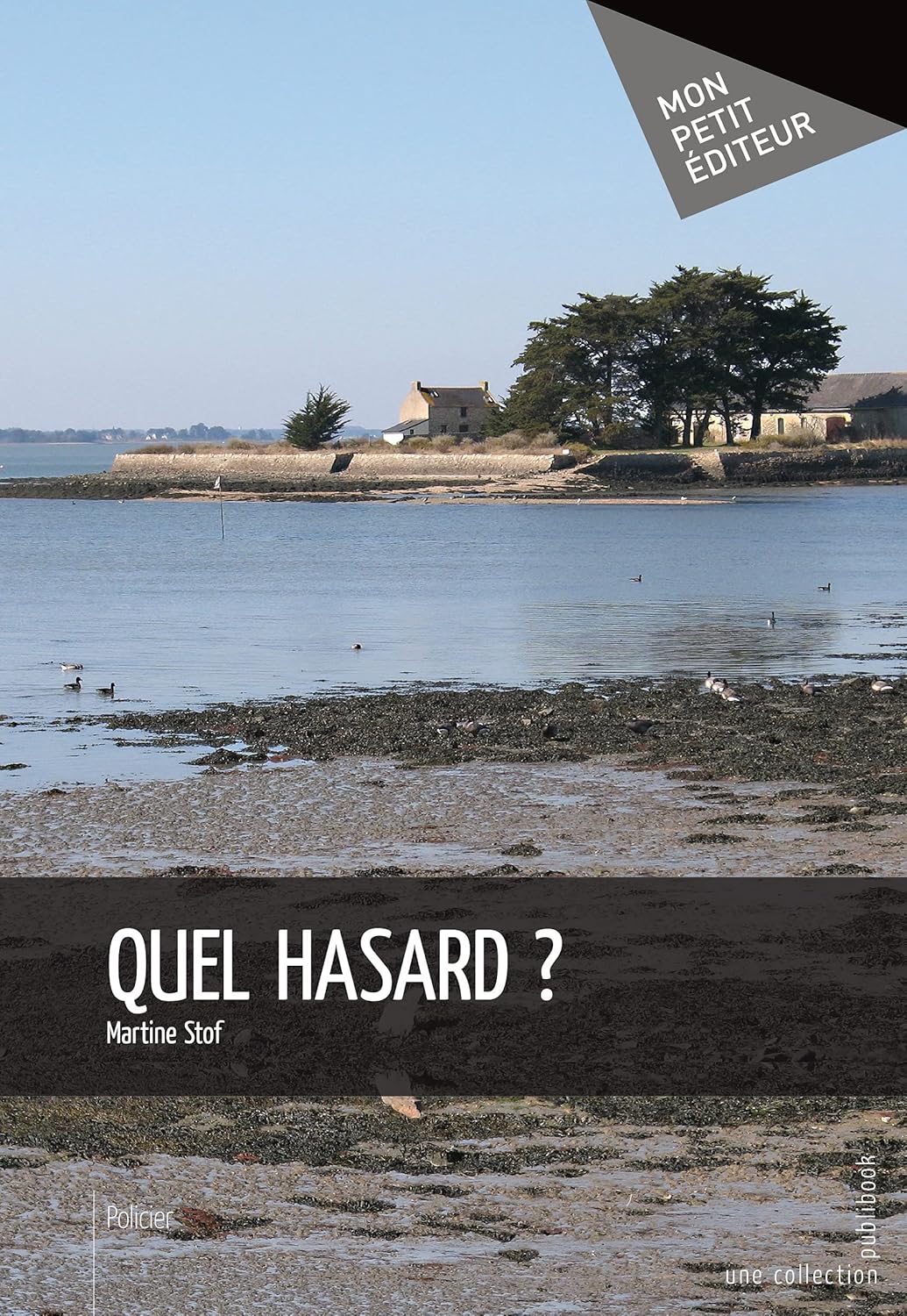 Amazon.com: Quel hasard ? (French Edition): 9782342039993: Stof ...