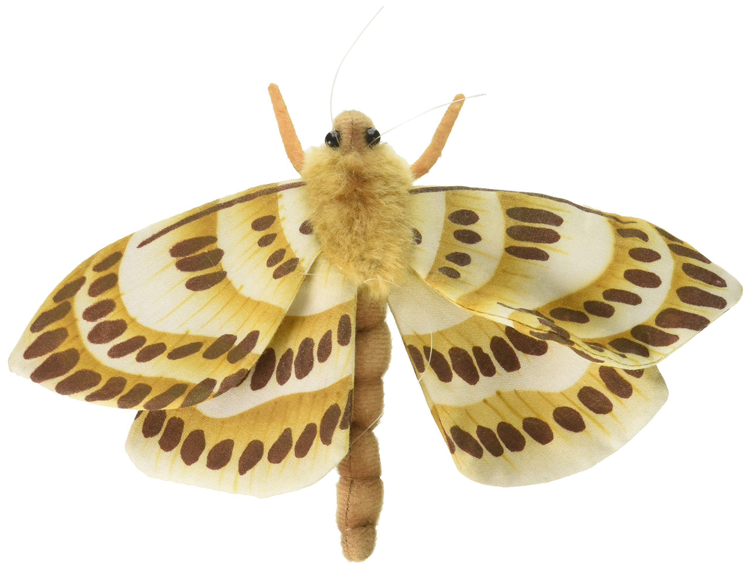 Amazon.com: Hansa Moth Plush : Toys & Games
