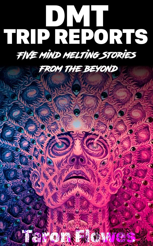 Dmt Trip Experience