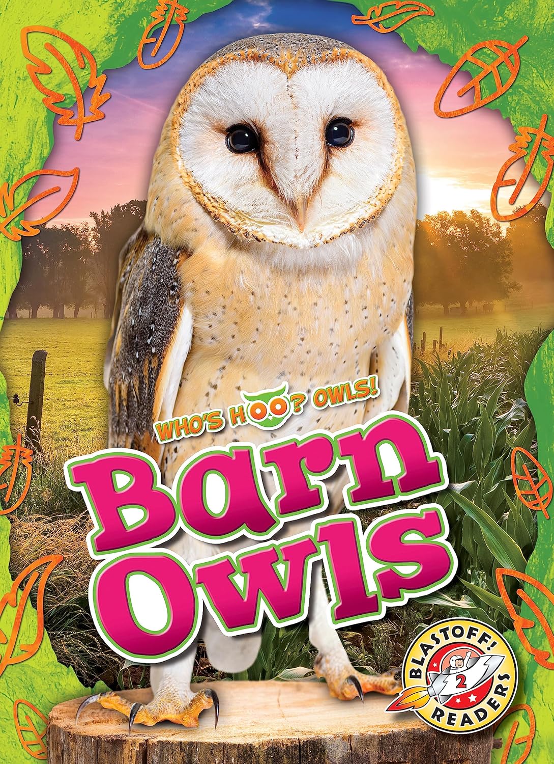 Barn Owls - Who's Hoo? Owls!, Non-Fiction Reading and Photos About ...