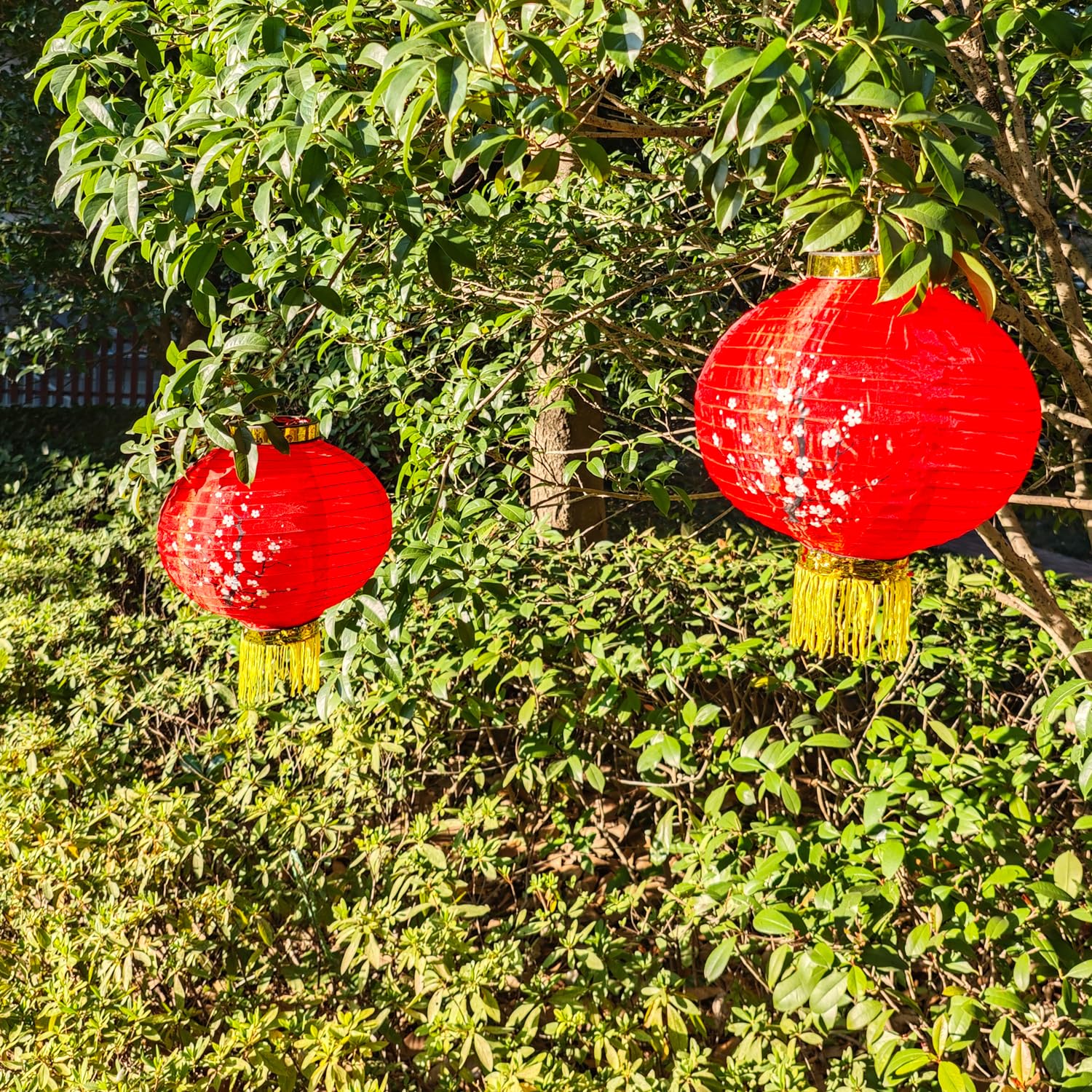 KYMY Cherry Blossom Red Lanterns, 2pcs Japanese Spring Festival Sakura ...