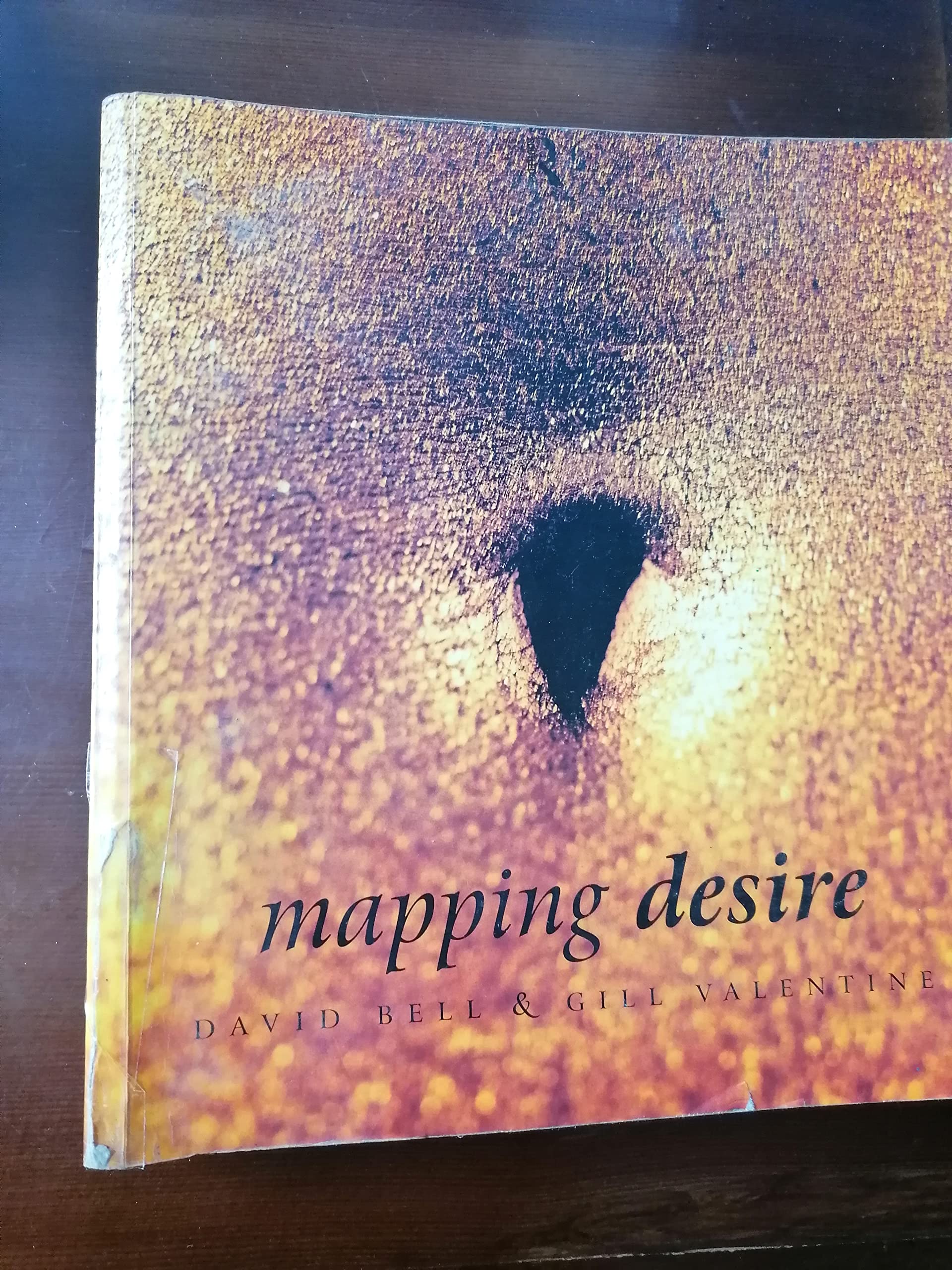 Amazon.com: Mapping Desire: Geographies of Sexualities: 9780415111645 ...