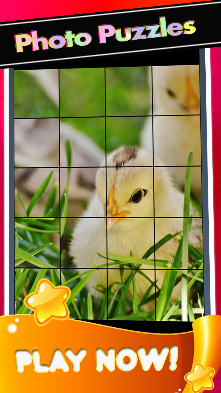 Cute Chick Pictures-Baby Chickens Puzzle Game - App on Amazon Appstore