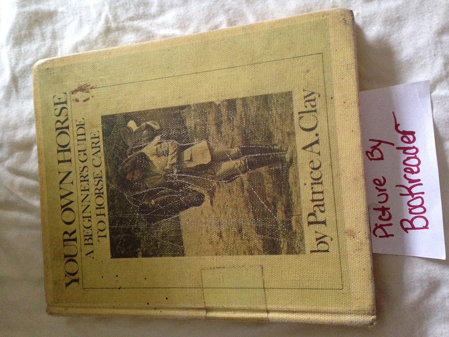 Amazon.co.jp: Your own horse: A beginner's guide to horse care : Clay ...