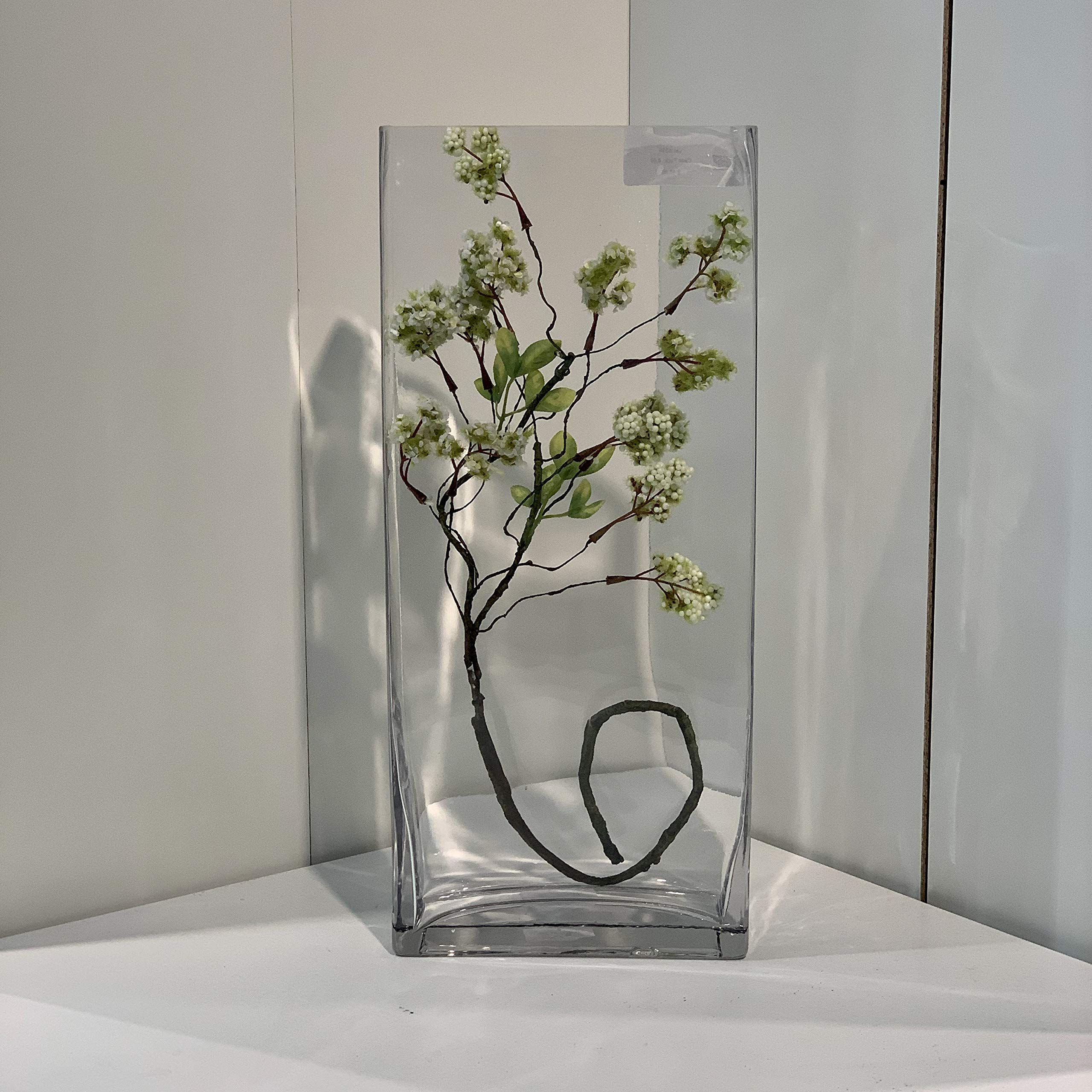 Tall Rectangle Glass Vase Ivy Bronx Tall Thin Vase For Flower: 20Cm