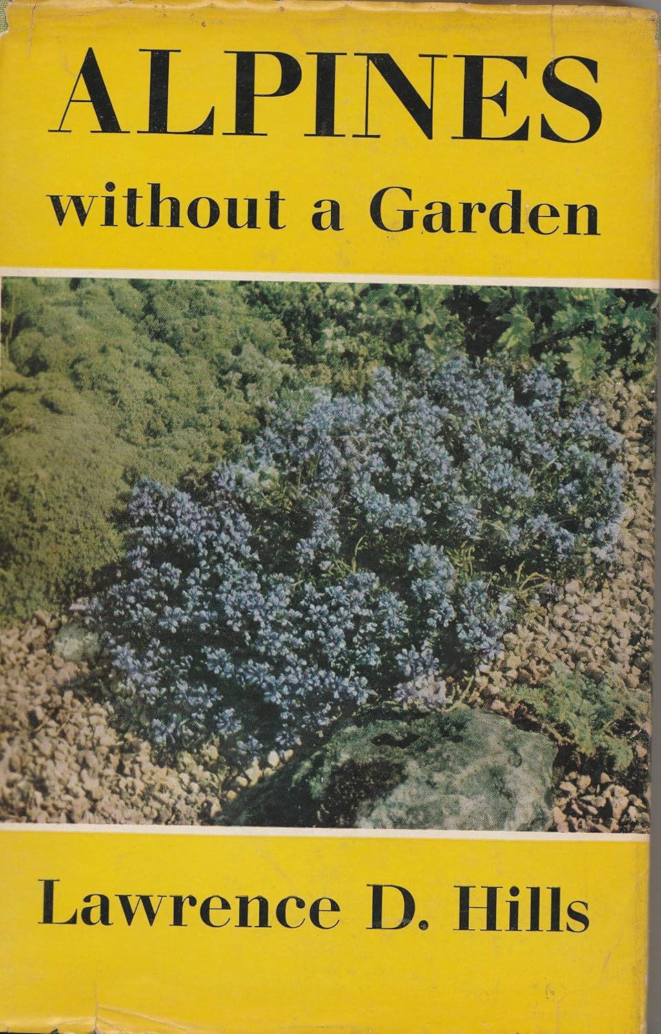 Alpines without a garden: Hills, Lawrence Donegan: Amazon.com: Books