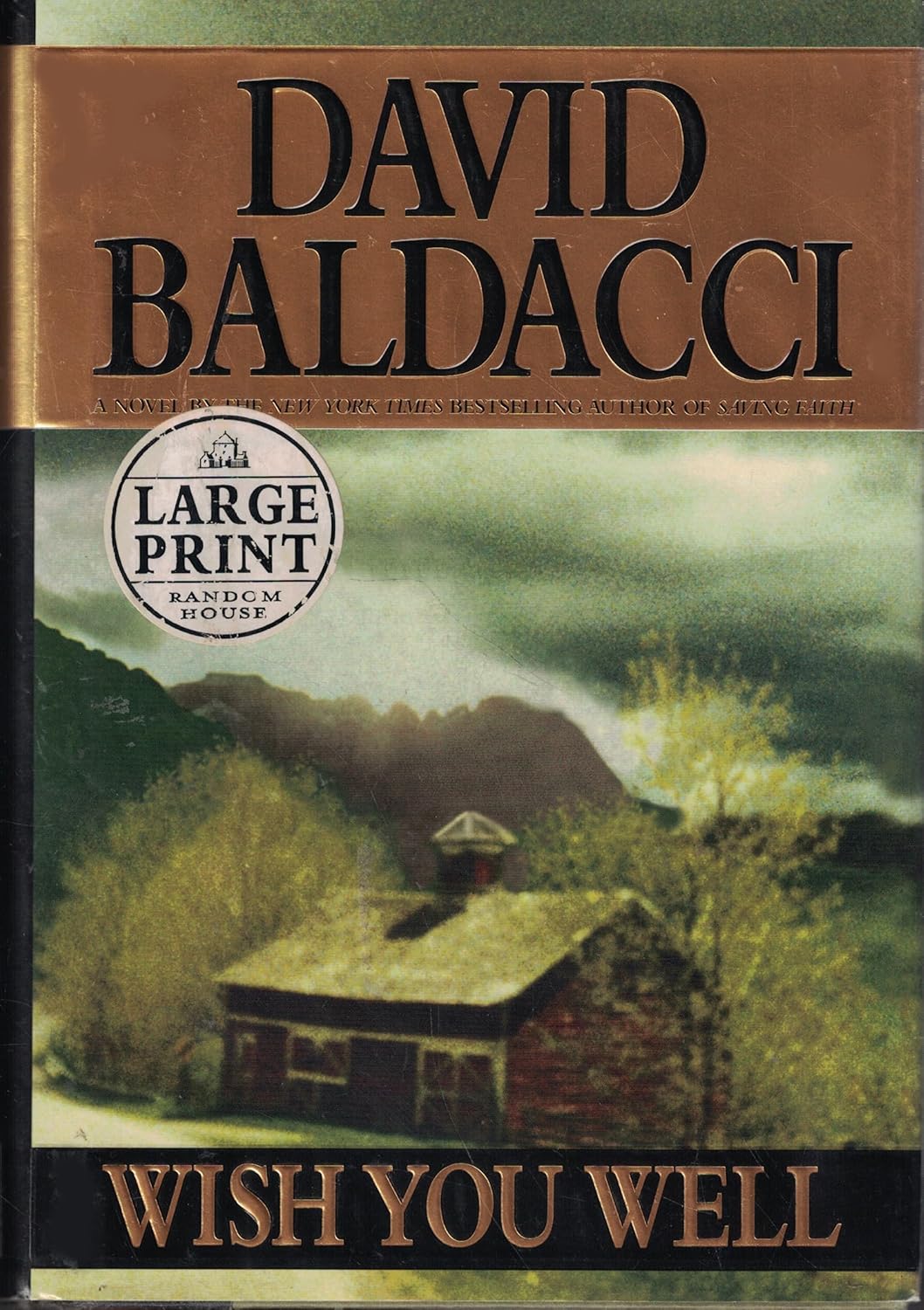 Wish You Well: Baldacci, David: 9780375430916: Amazon.com: Books