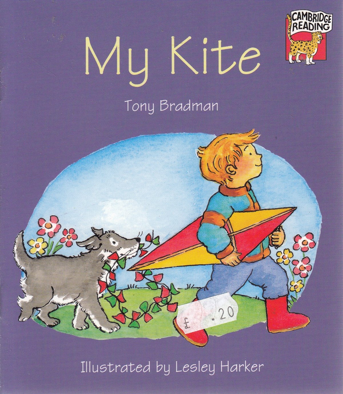 Amazon.com: My Kite: Beginning to Read C Titles (Cambridge Reading ...
