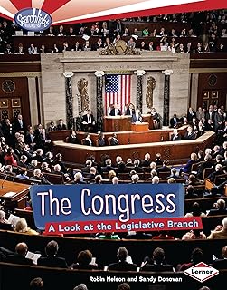 The Law-Making Branch: Understanding Government's Role | LawShun