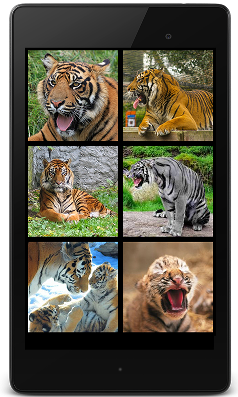 Tiger Sounds:Amazon.co.uk:Appstore for Android