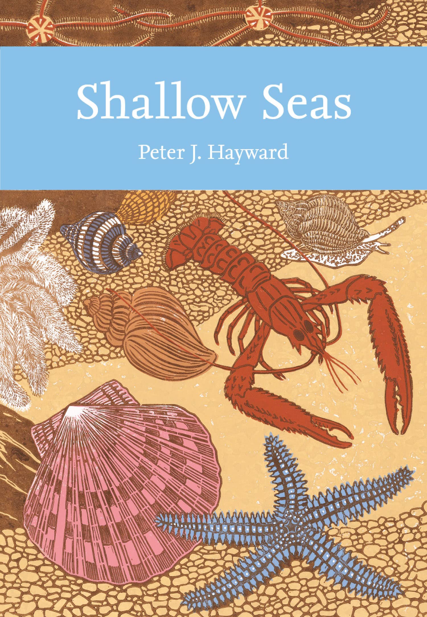 Shallow Seas: Book 131 (Collins New Naturalist Library): Amazon.co.uk ...