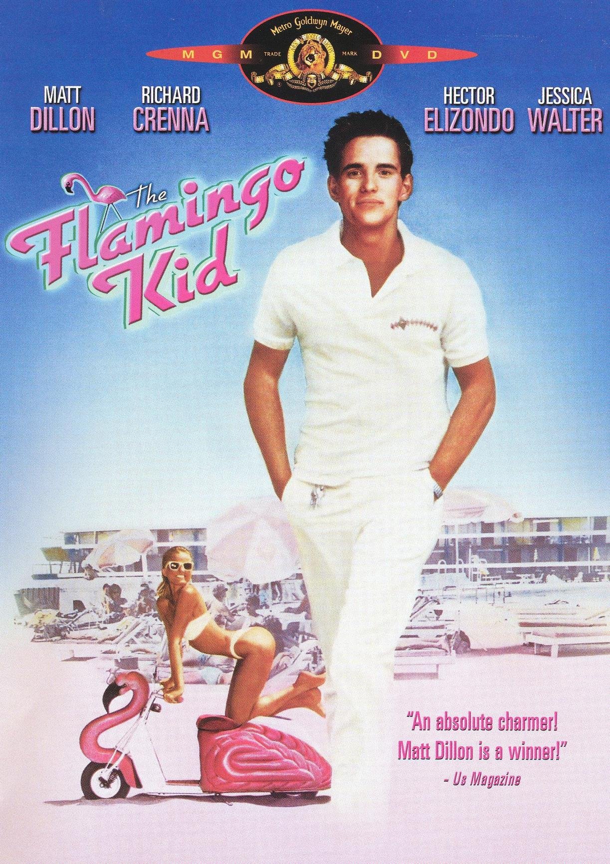 Amazon.com: The Flamingo Kid : Movies & TV