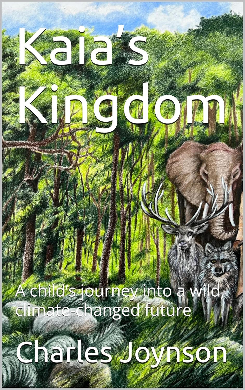 Amazon.com: Kaia’s Kingdom: A child’s journey into a wild, climate ...