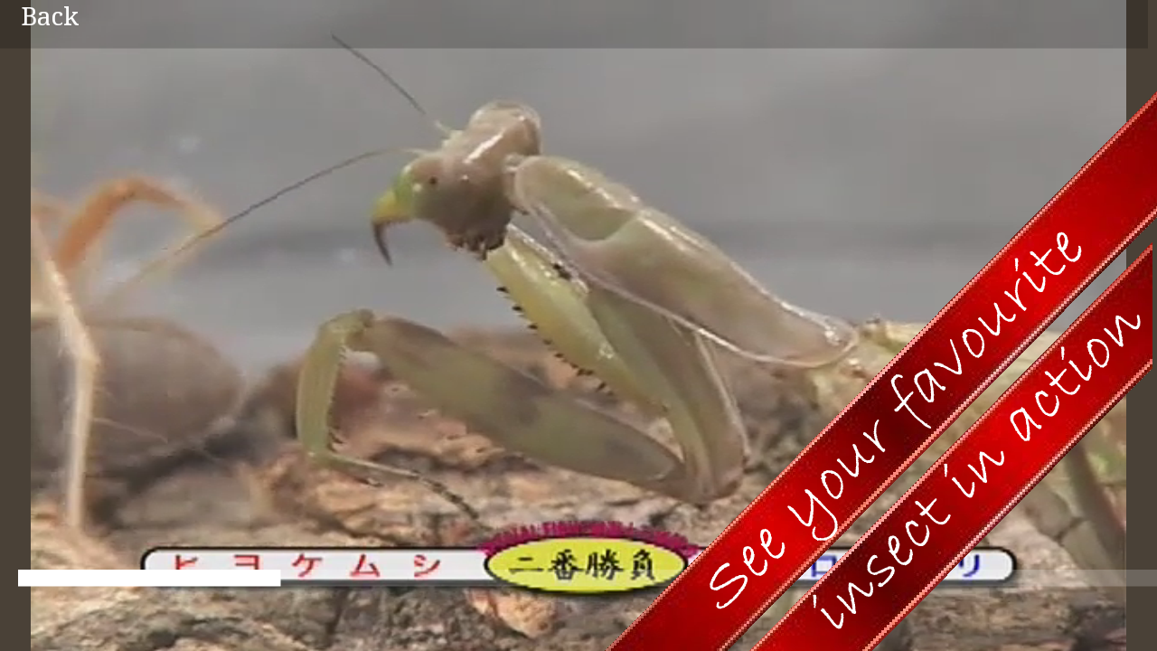 Insect At War - App on Amazon Appstore