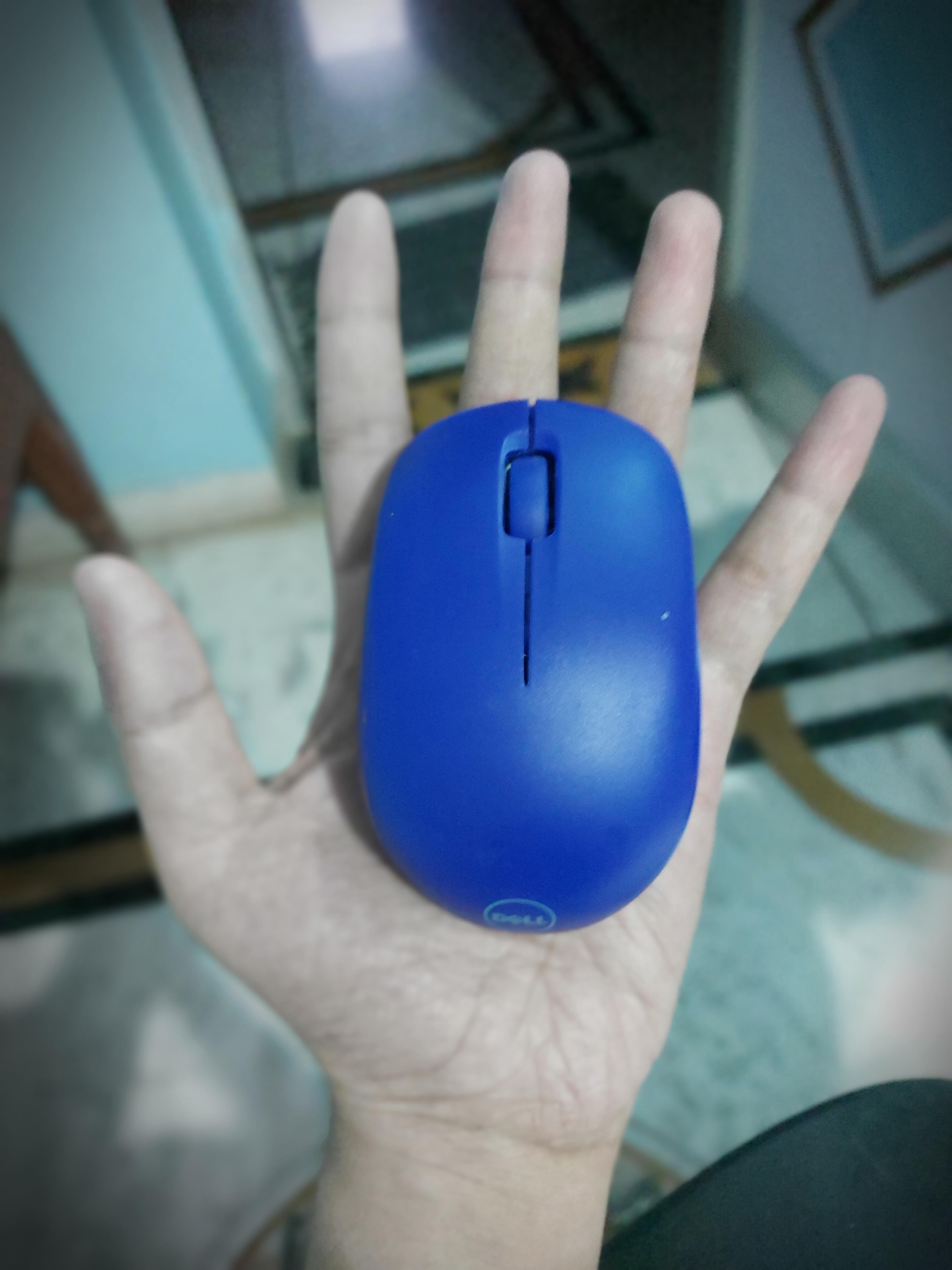 Amazon.in: Buy Dell WM126 Wireless Optical Mouse (Blue) Online at Low ...
