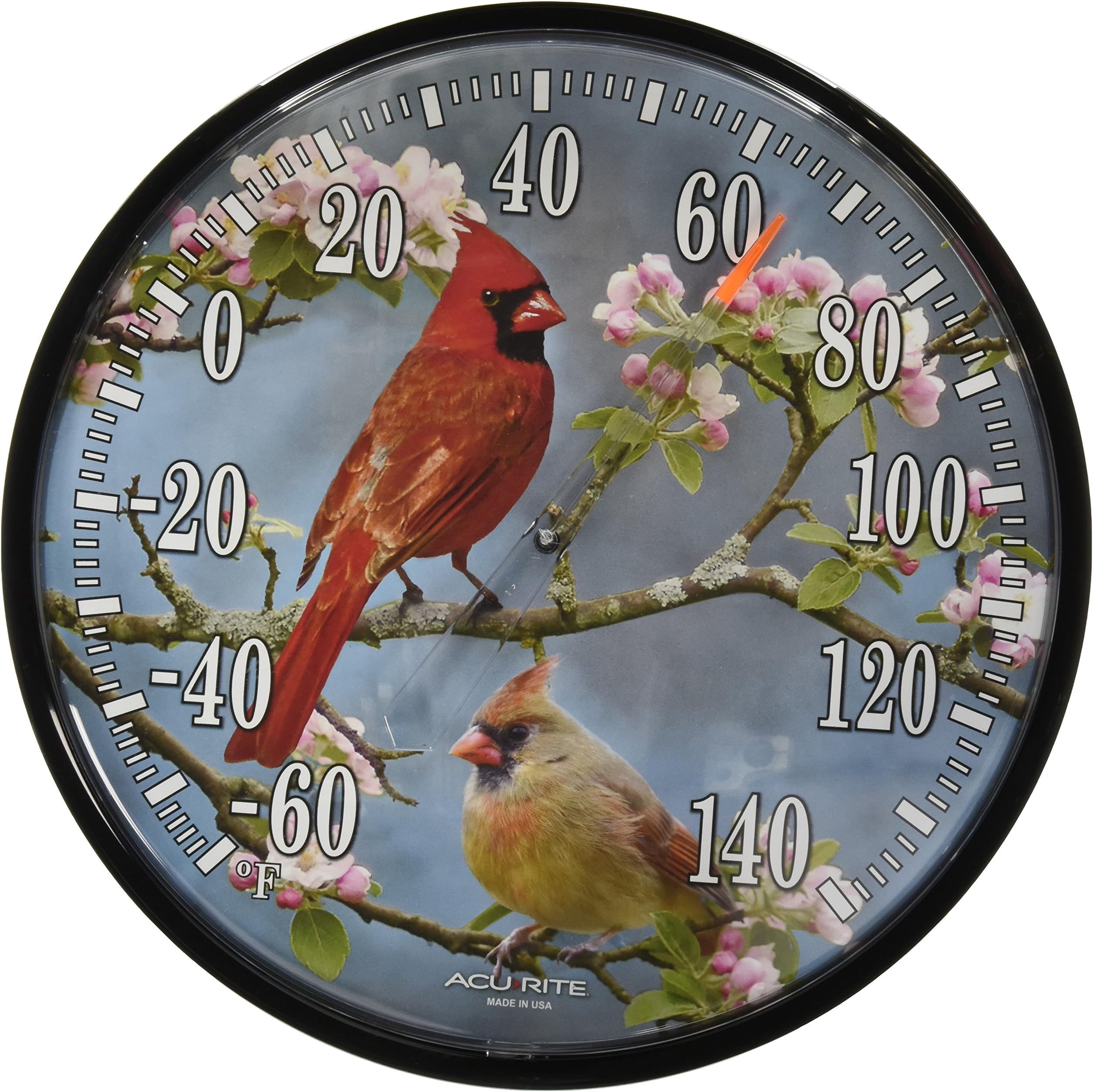 Amazon.com: Chaney Instruments AcuRite 01597 12.5-Inch Wall Thermometer ...