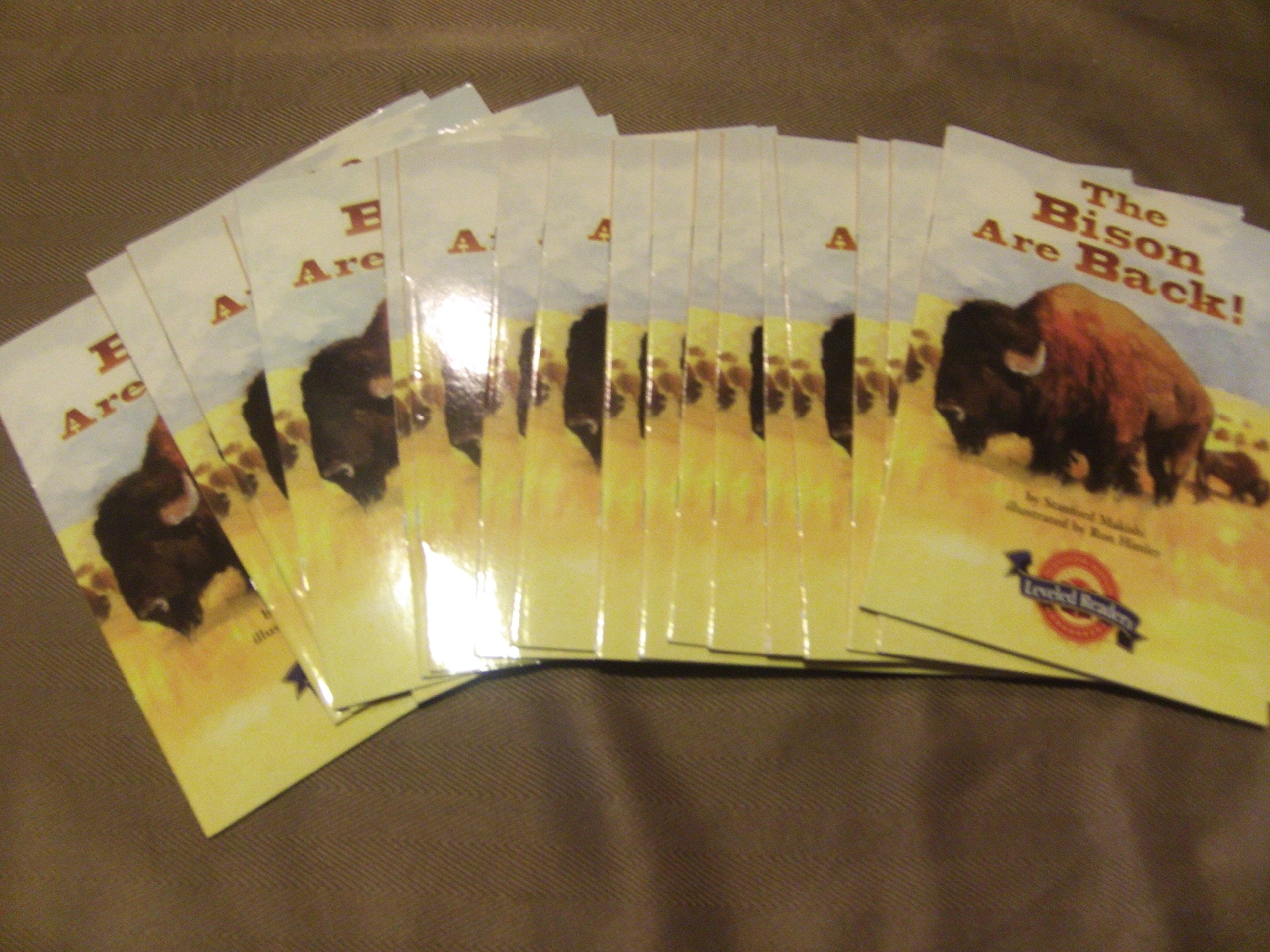 The Bison Are Back! (Houghton Mifflin Leveled Readers, Book 3.4.1): Ron ...