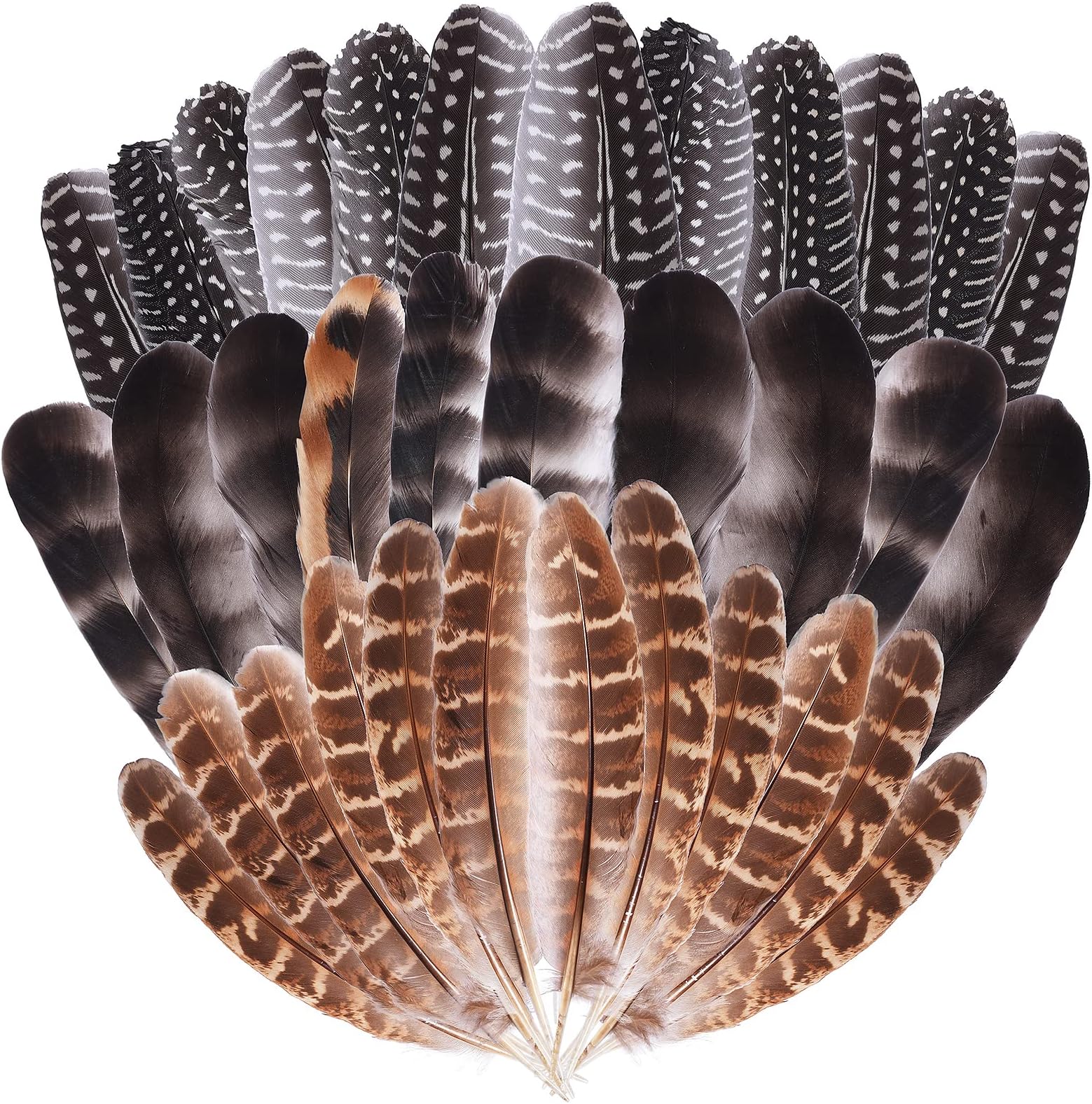 Amazon.com: THARAHT 24pcs 4Style Natural Spotted Feathers Guinea Fowl ...