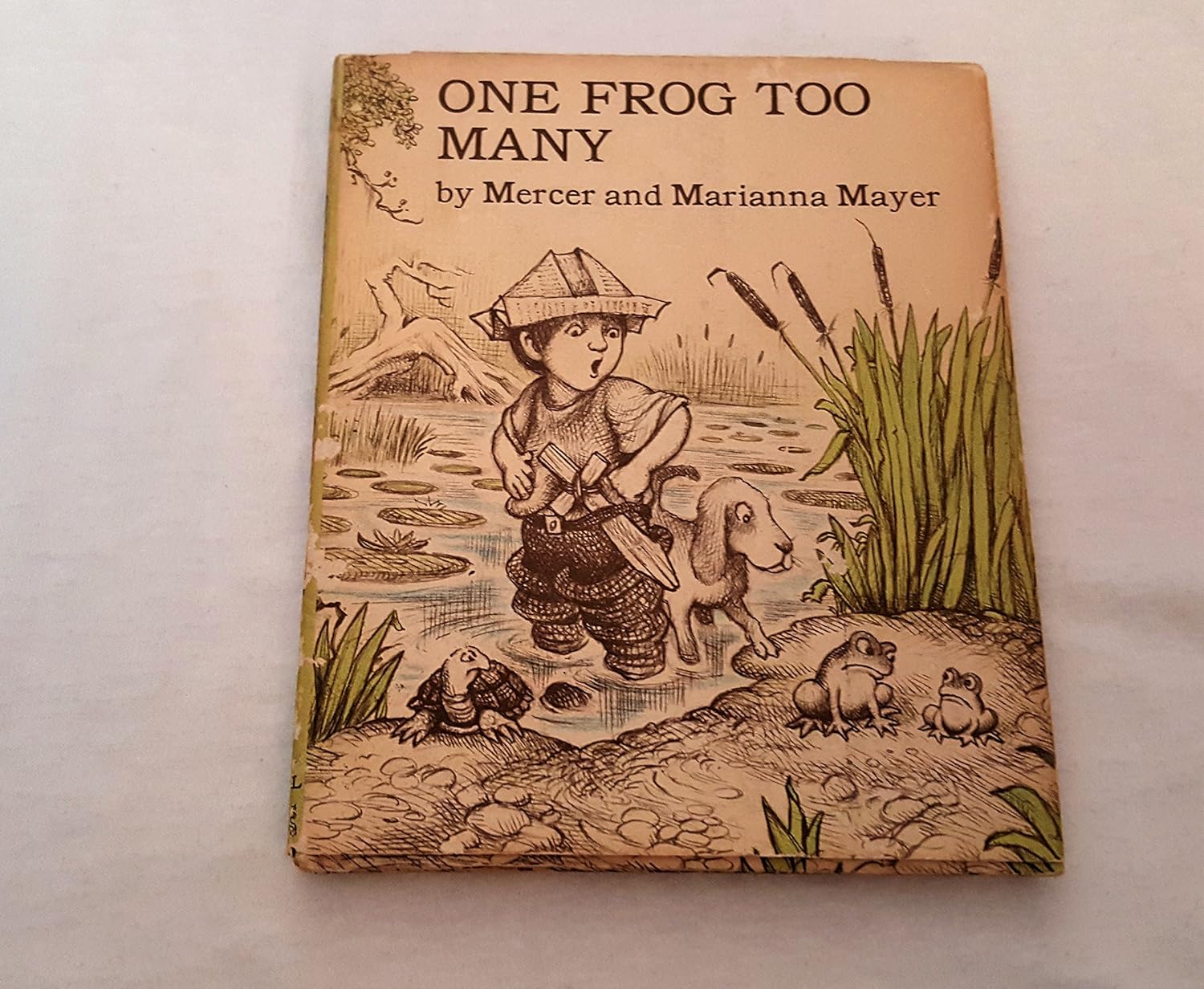 One Frog Too Many: Mercer & Marianna Mayer: Amazon.com: Books