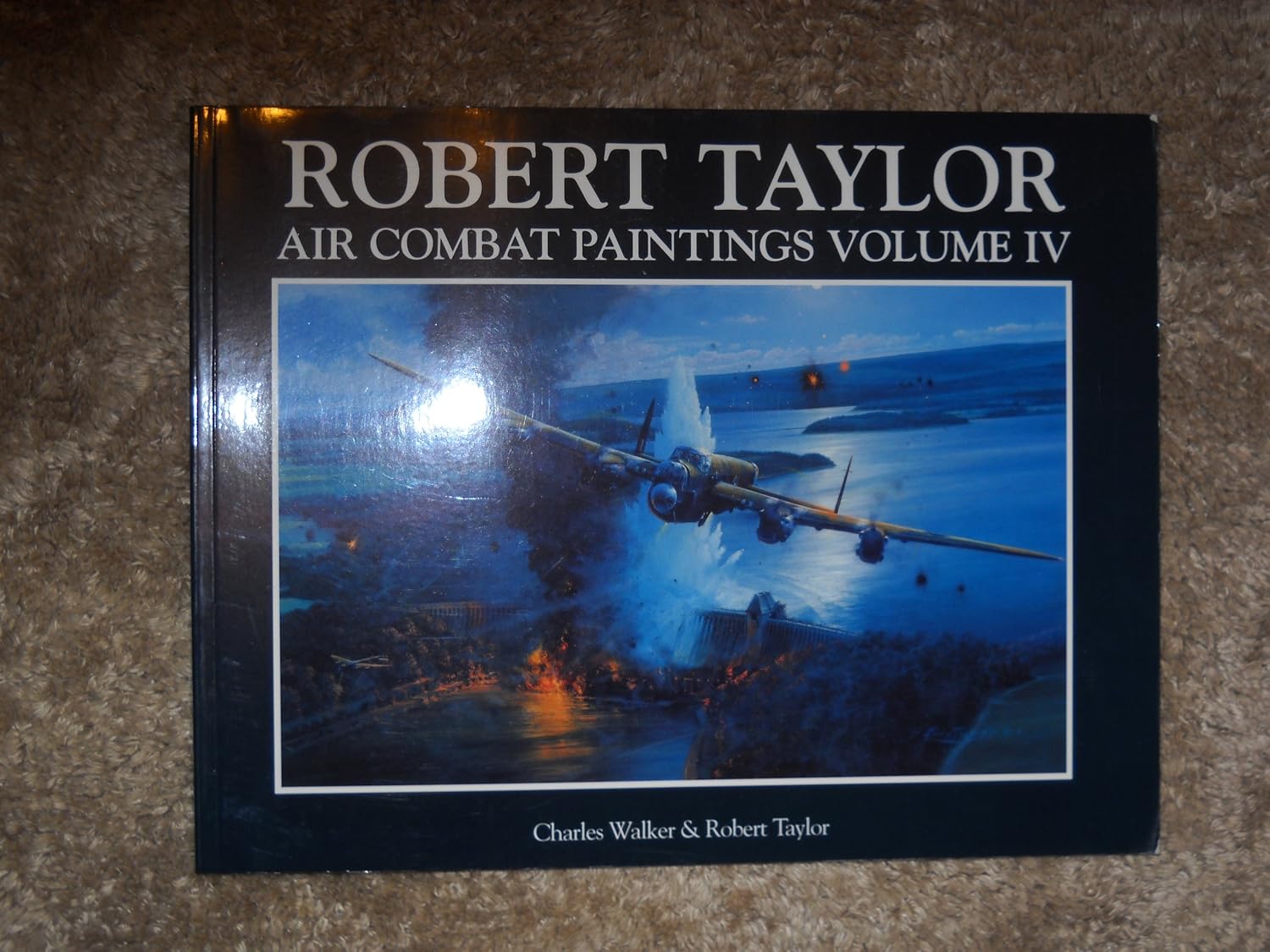 Robert Taylor: v.4 (Robert Taylor: Air Combat Paintings): Amazon.co.uk ...