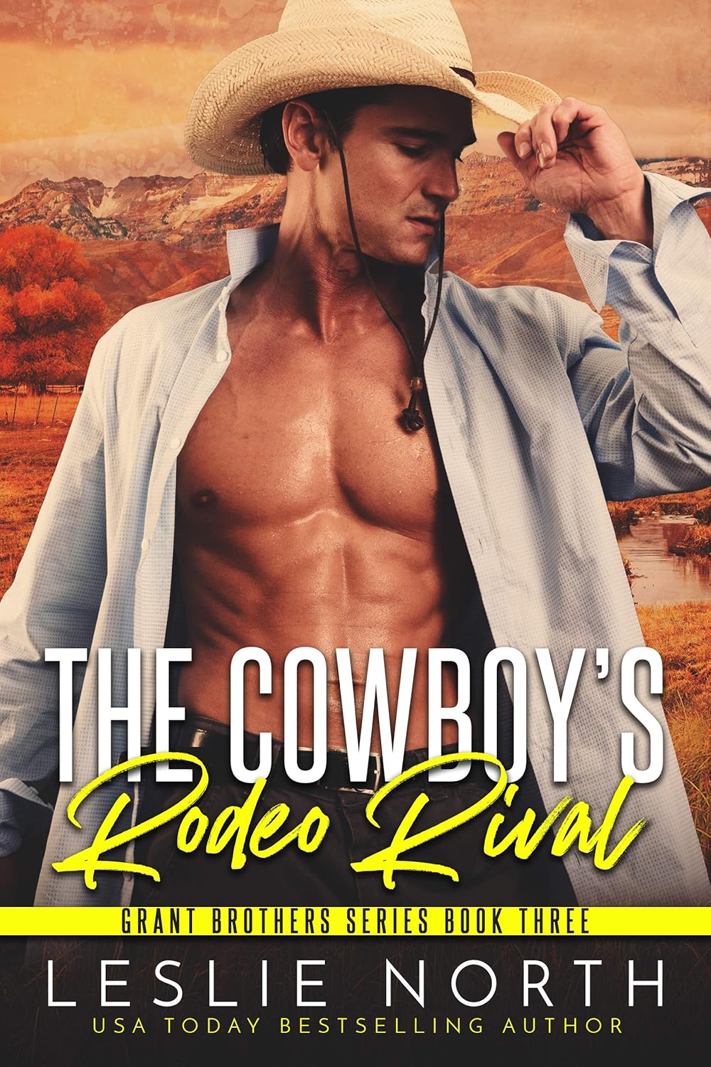 The Cowboy’s Rodeo Rival (Grant Brothers Series Book 3) - Kindle ...