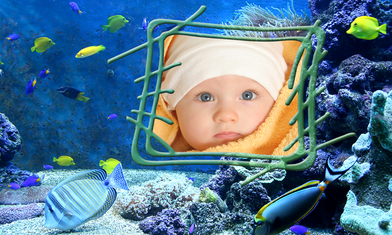 Aquarium Photo Frames - App on Amazon Appstore