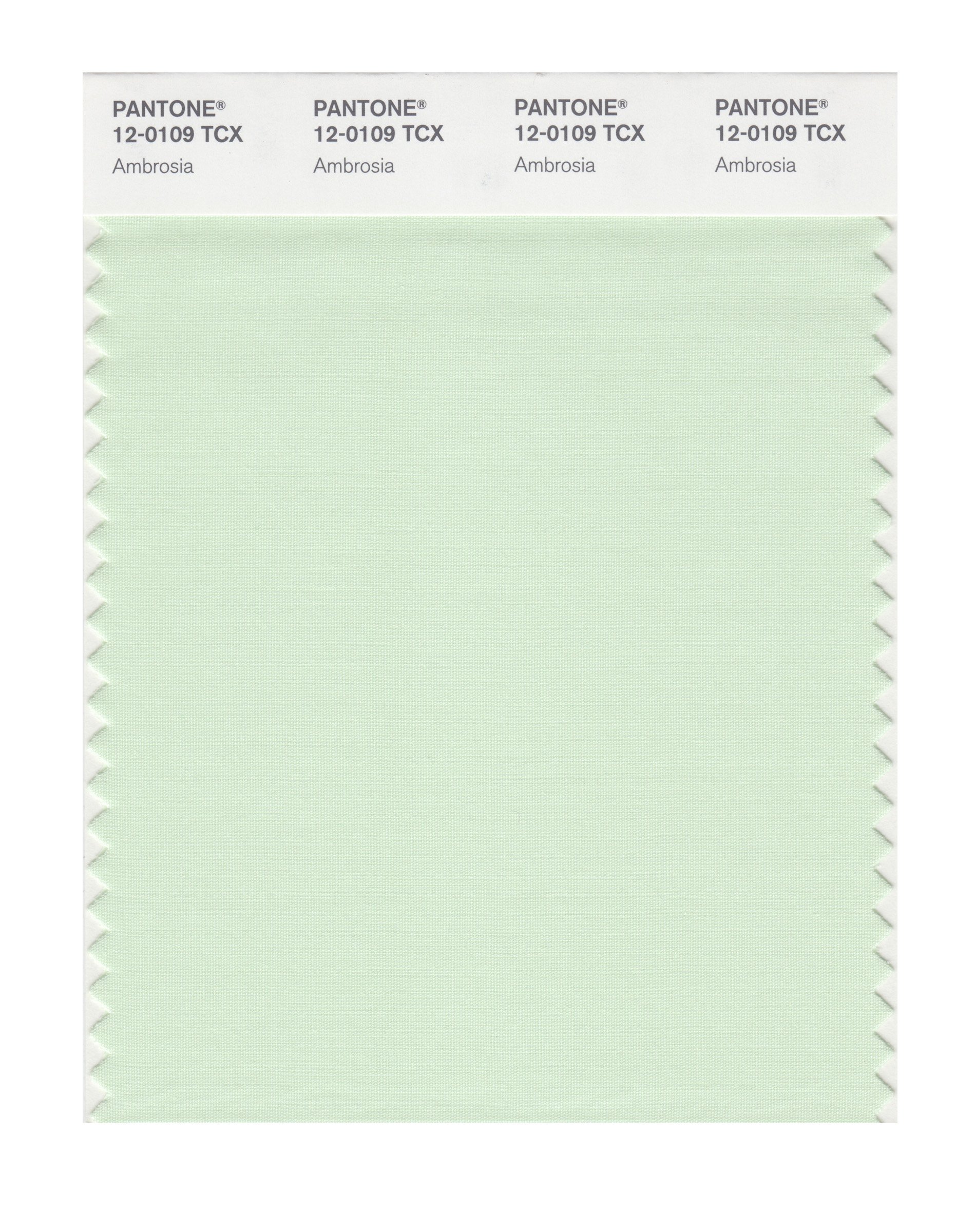 Buy PANTONE Smart 12-0109X Color Swatch Card, Ambrosia Online at ...