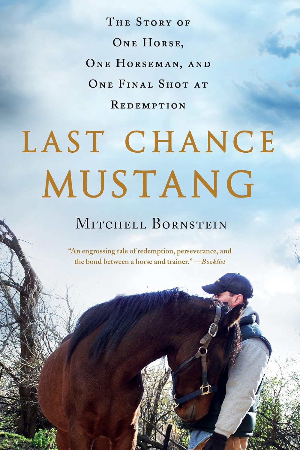 Last Chance Mustang: Bornstein: 9781250106193: Amazon.com: Books