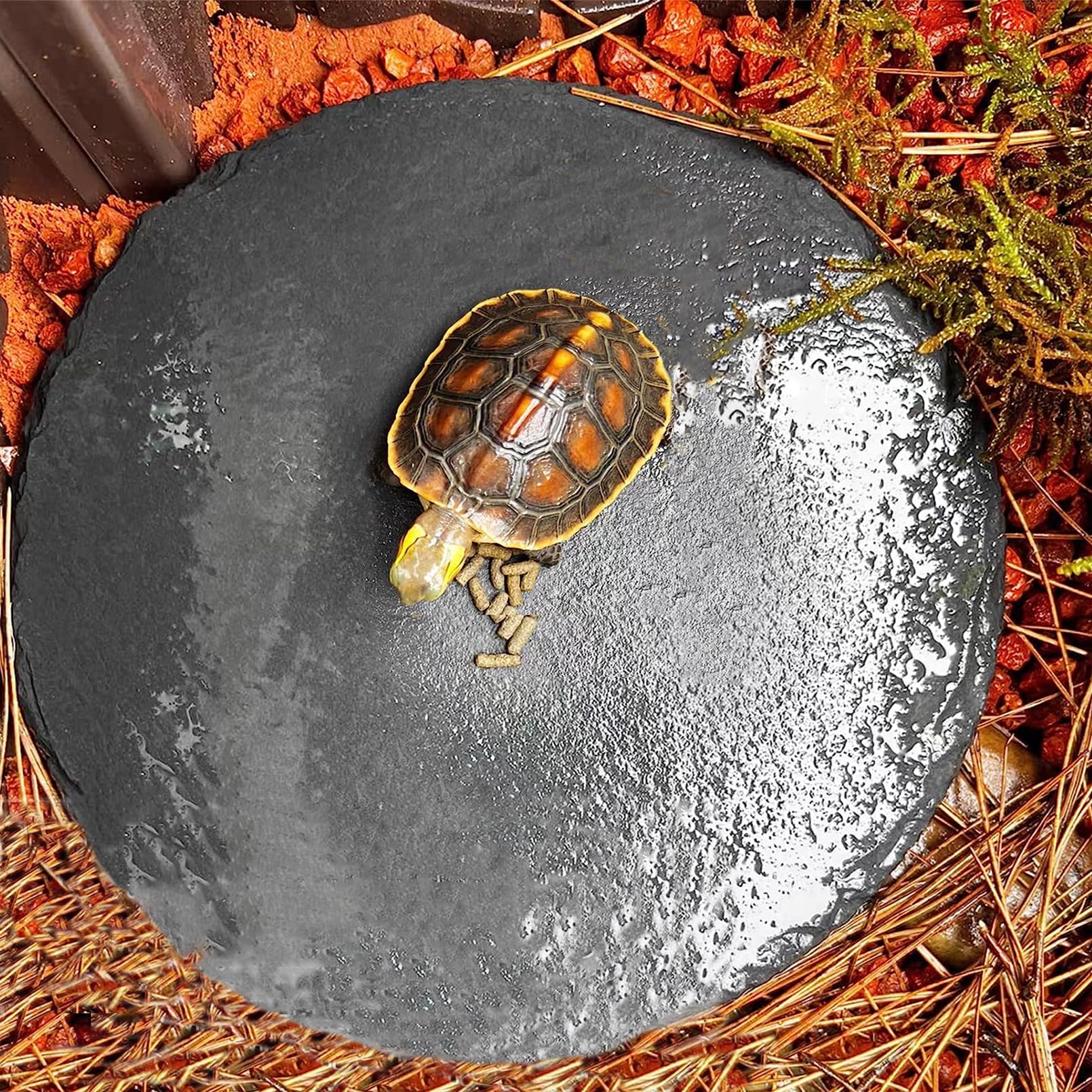 Snapklik.com : Reptile Basking Platform 2PcsTurtle Rock Slate Feeding ...