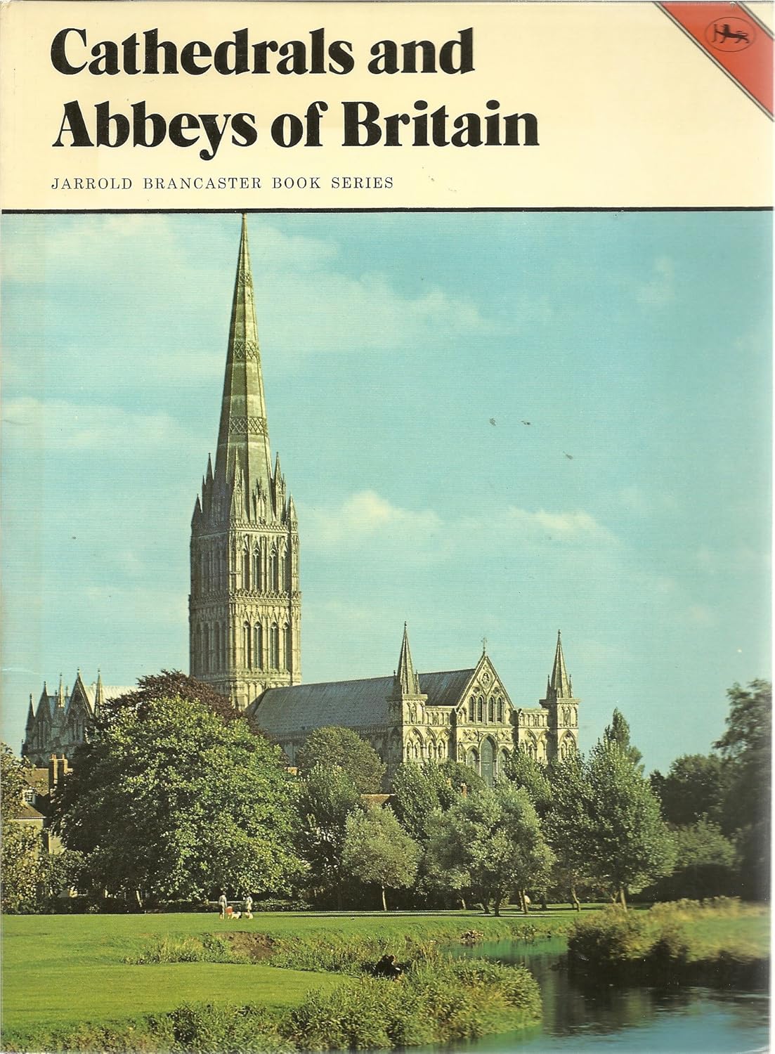 Cathedrals and Abbeys of Britain: Newcombe, Lisa: 9780853066743: Amazon ...