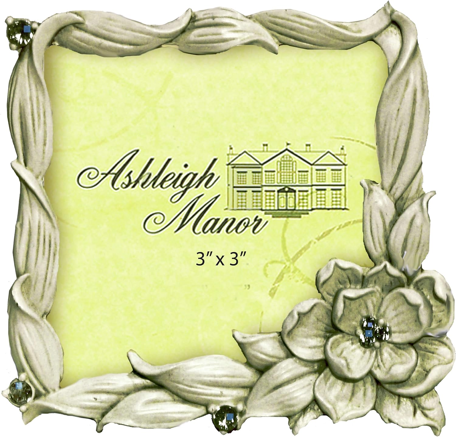 Amazon.com - Ashleigh Manor Bloom Frame, White - Ashleigh Manor Picture ...