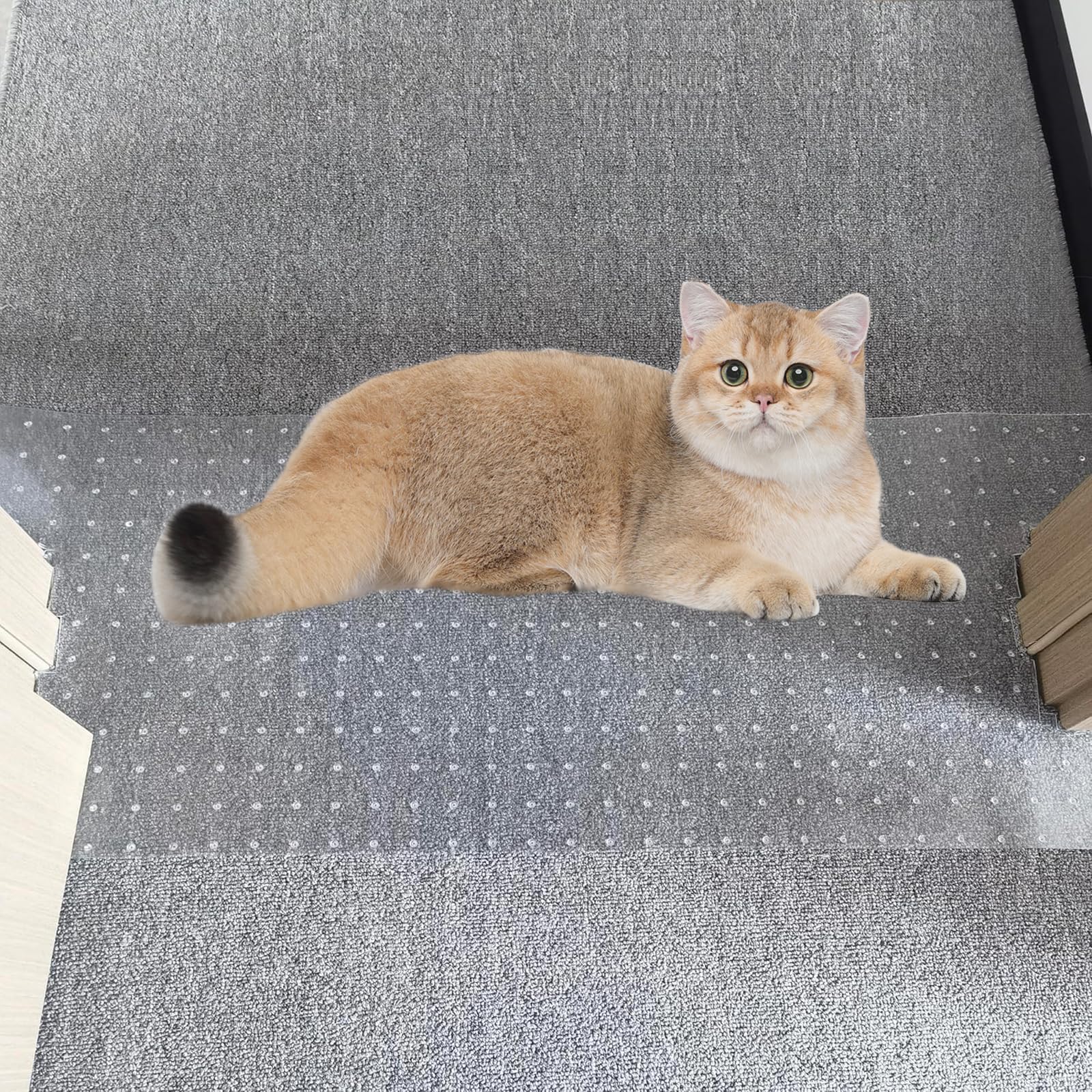 Amazon.com : QWR 3.6Ft Carpet Protector for Pets - Cat Carpet Protector ...