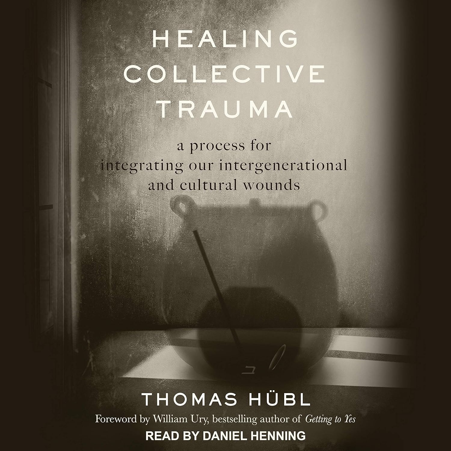 Amazon.com: Healing Collective Trauma: A Process for Integrating Our ...