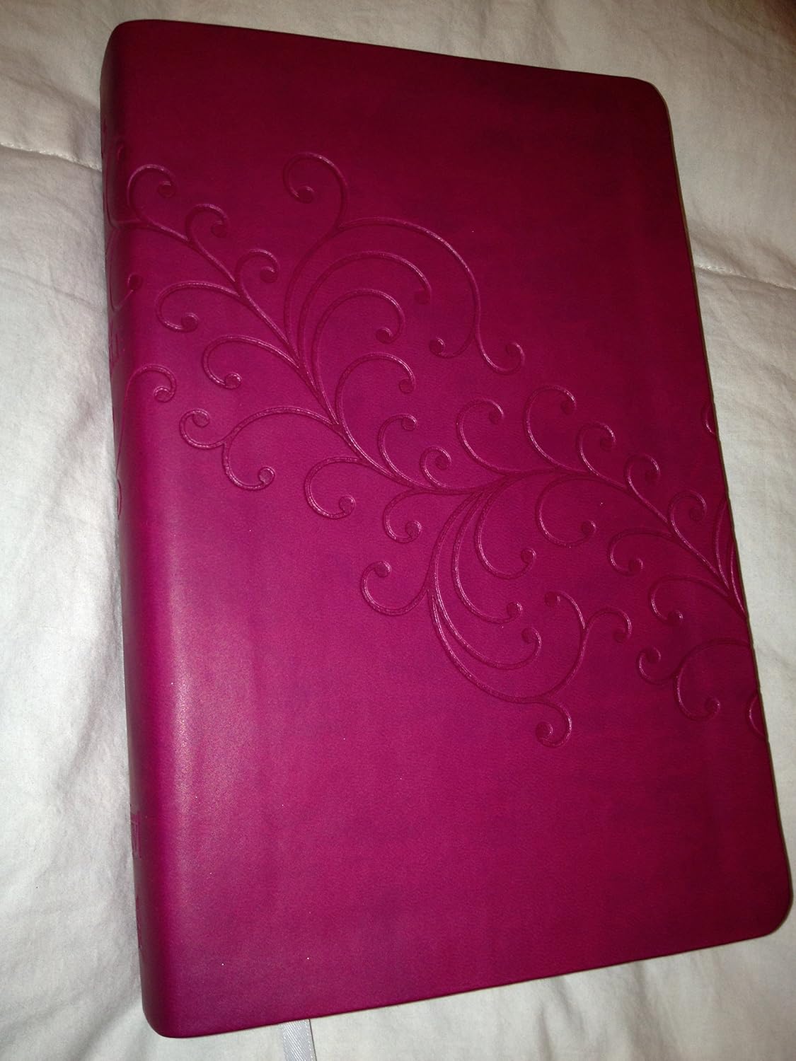 KJV Personal-Size Giant-Print Reference Bible: Thomas Nelson Publishers ...